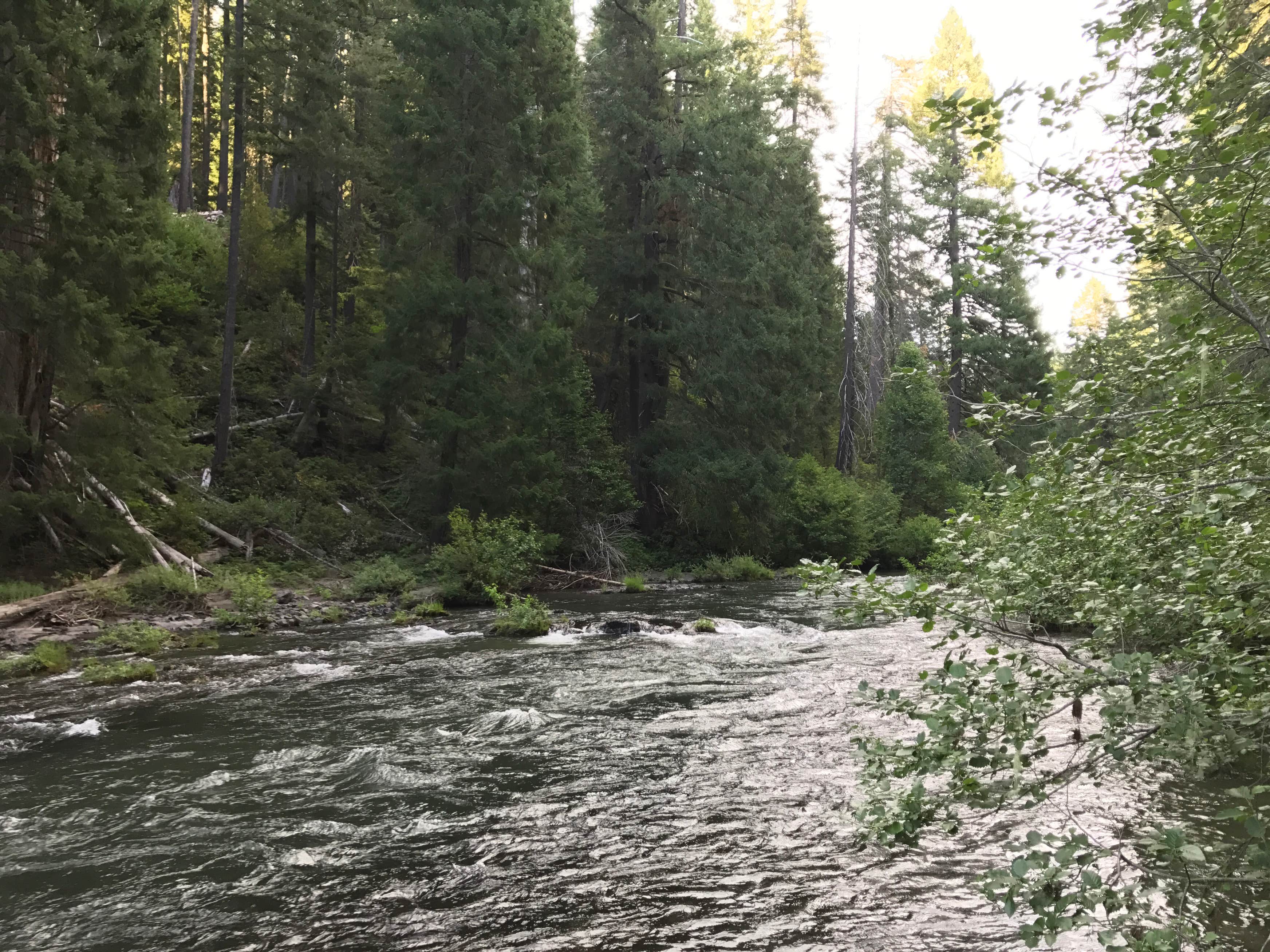 Farewell Bend Campground Camping | The Dyrt