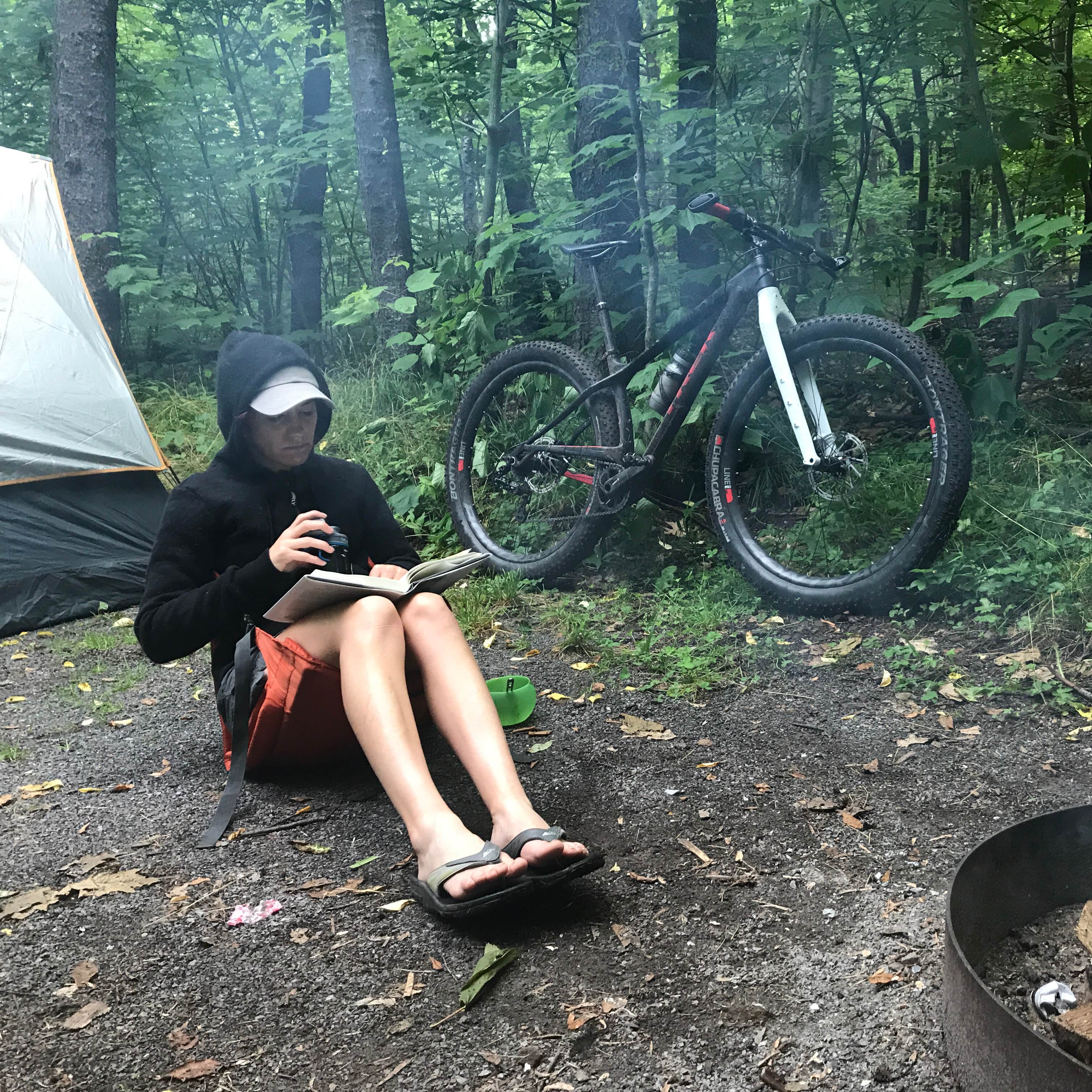 Blue Knob State Park Camping | The Dyrt