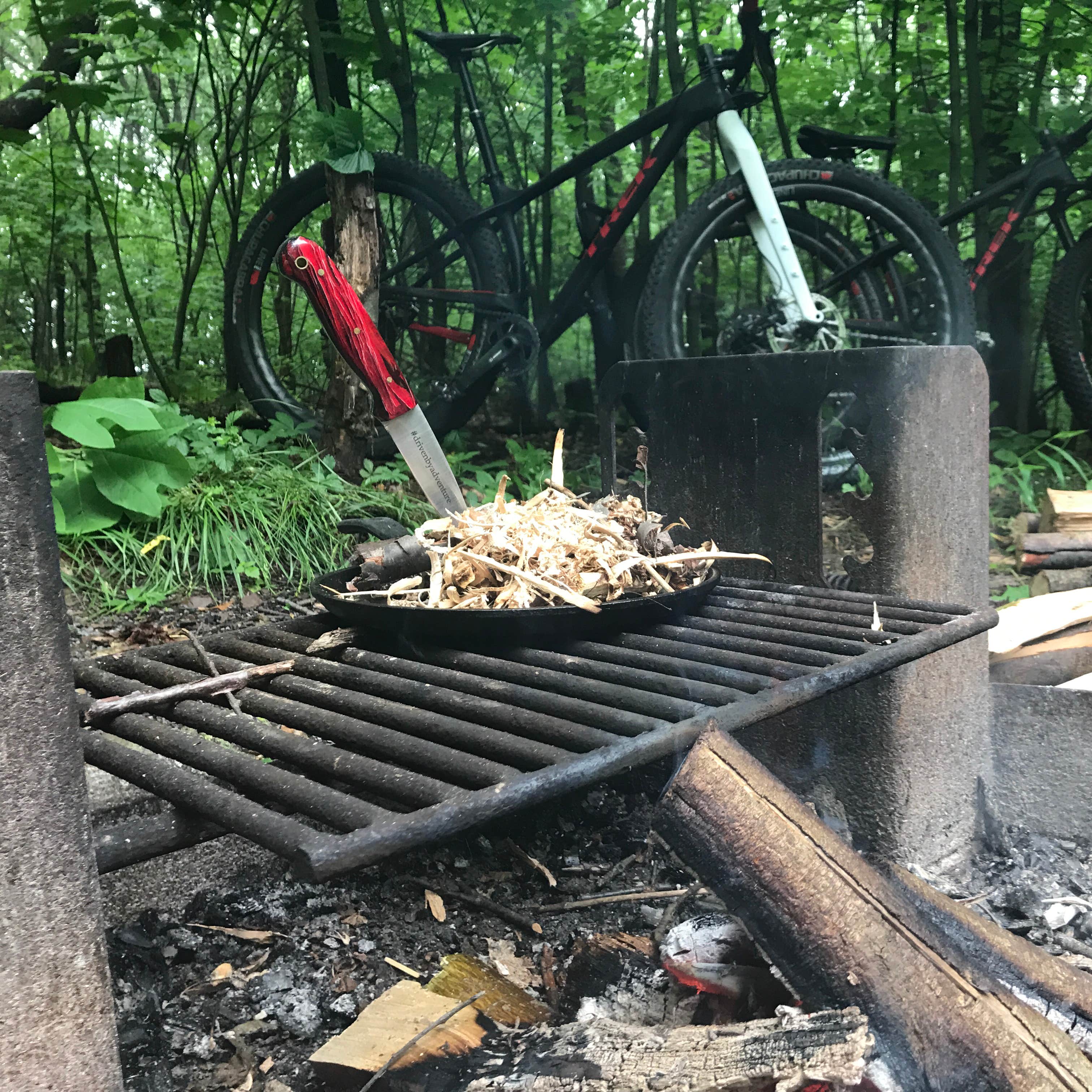 Blue Knob State Park Camping | The Dyrt