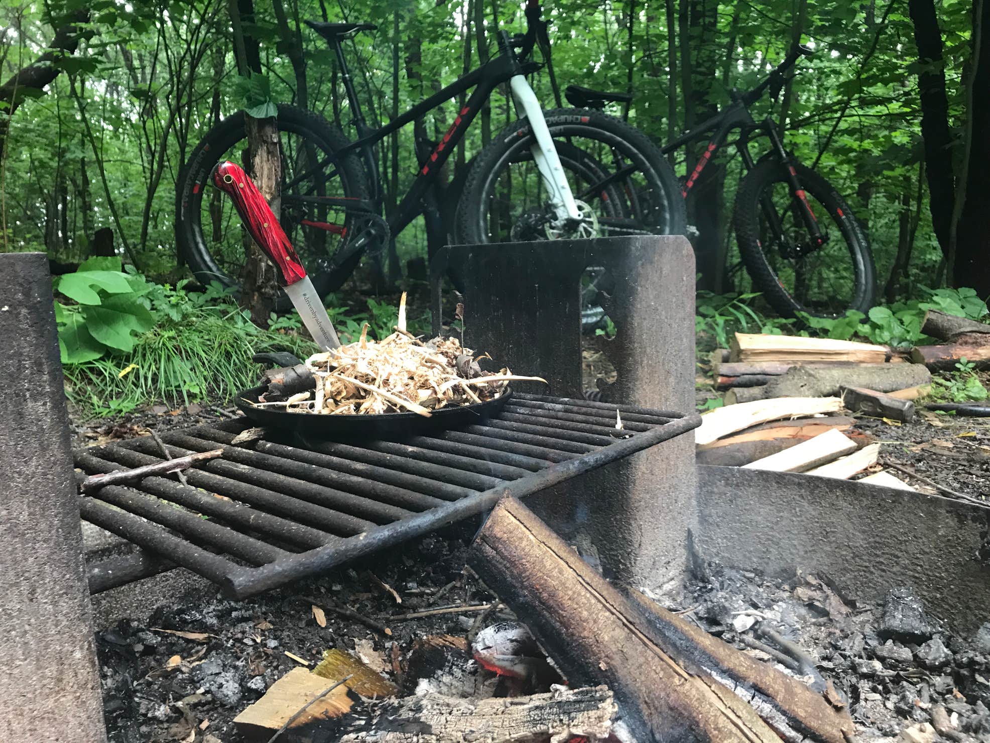 Blue Knob State Park Camping | The Dyrt