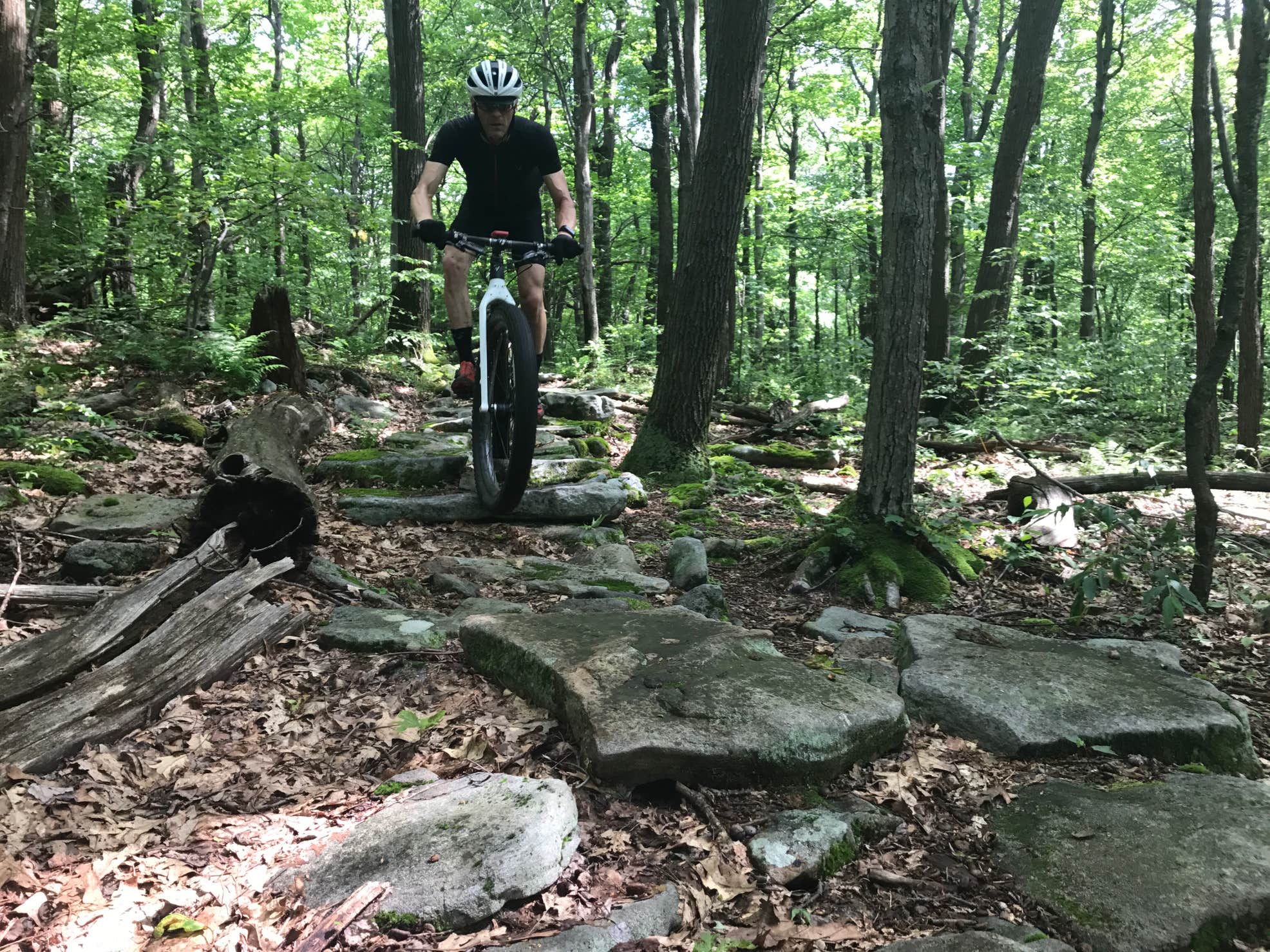 Blue Knob State Park Camping | The Dyrt