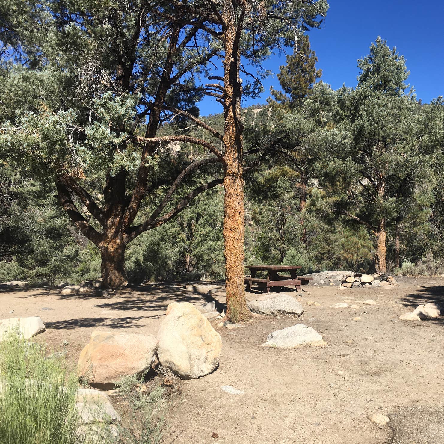 Kennedy Meadows Campground Camping | The Dyrt