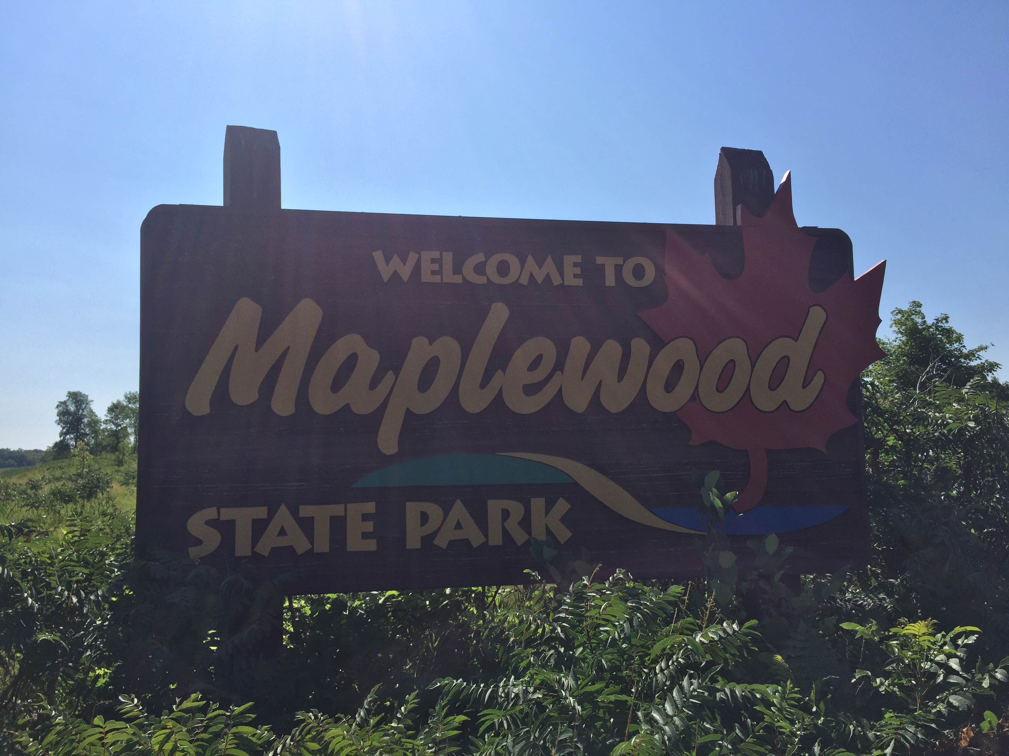 Maplewood State Park Campground | Erhard, Minnesota