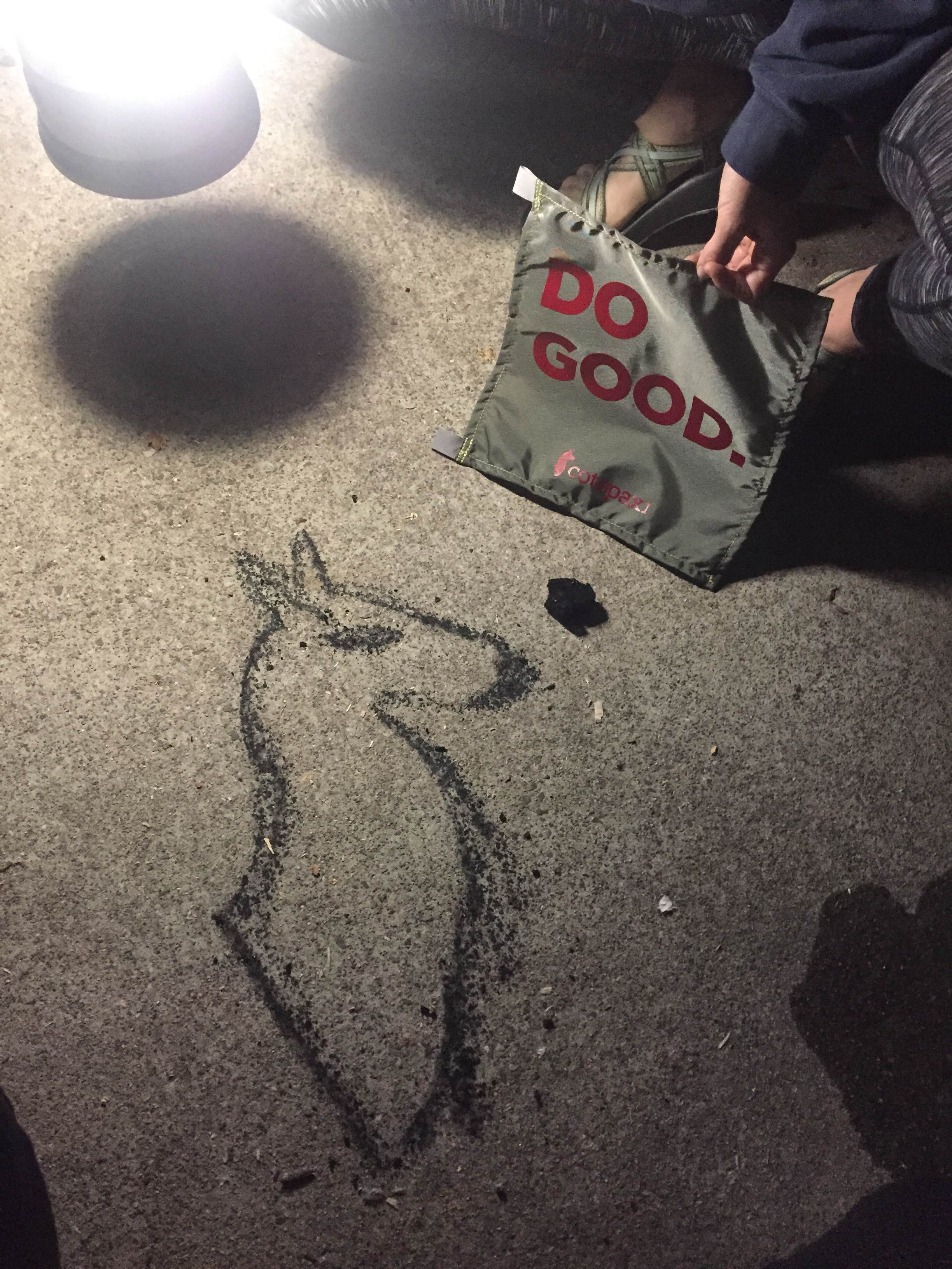 Tanners Flat Camping | Sandy, UT