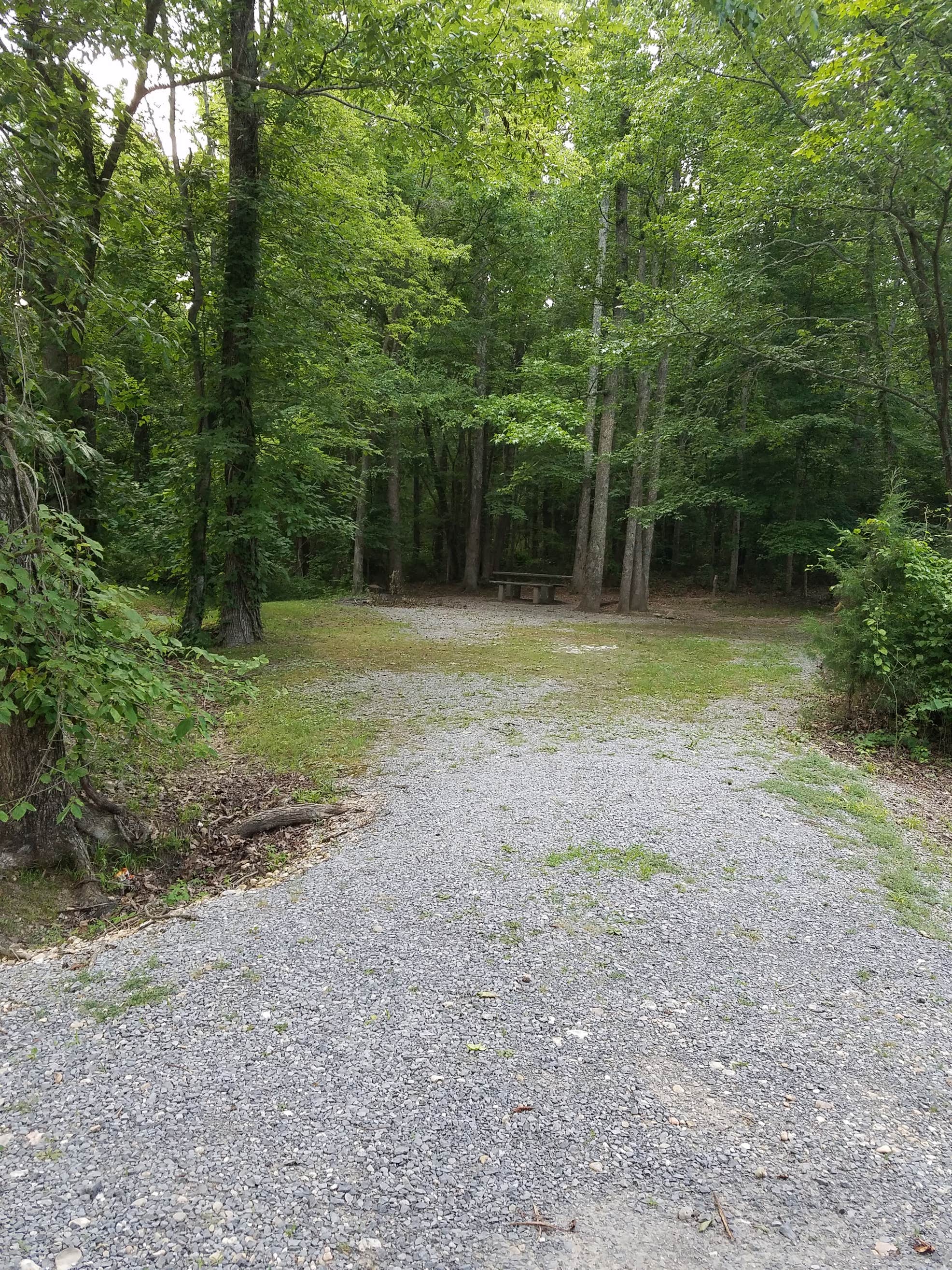 Birmingham Ferry/Smith Bay - LBL Camping | The Dyrt