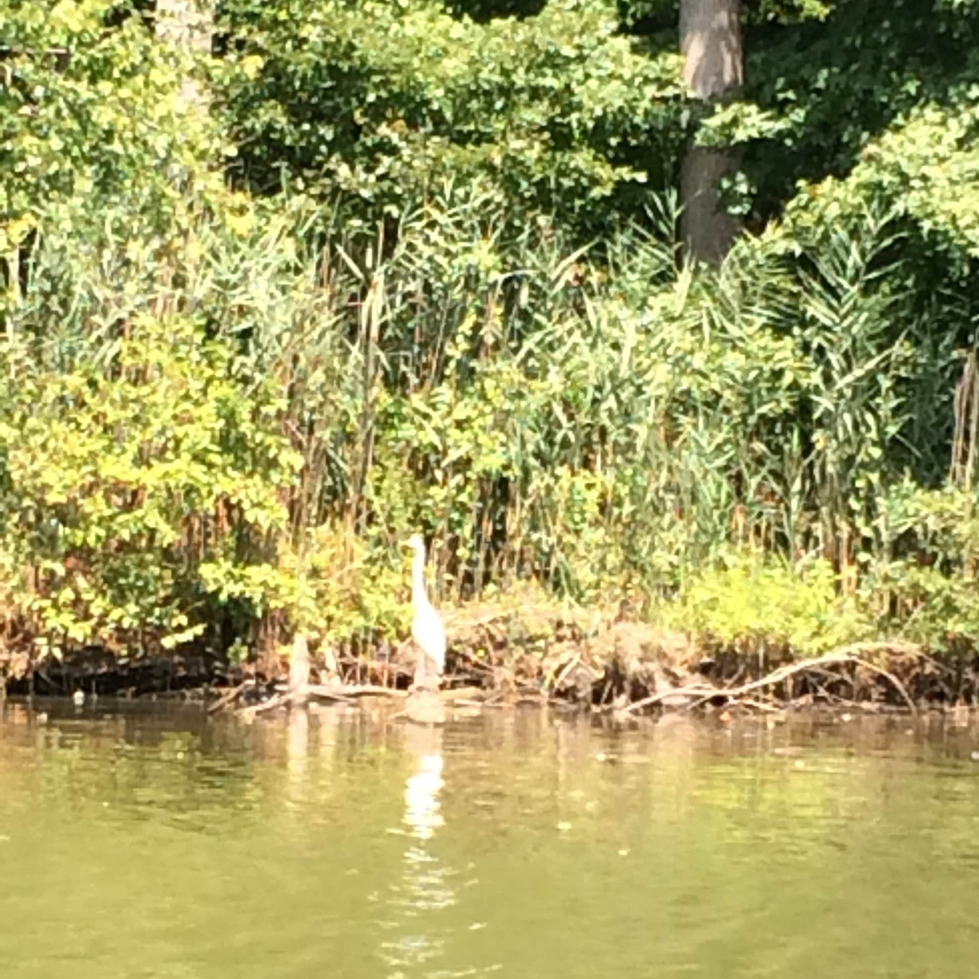 Lums Pond State Park Camping | The Dyrt