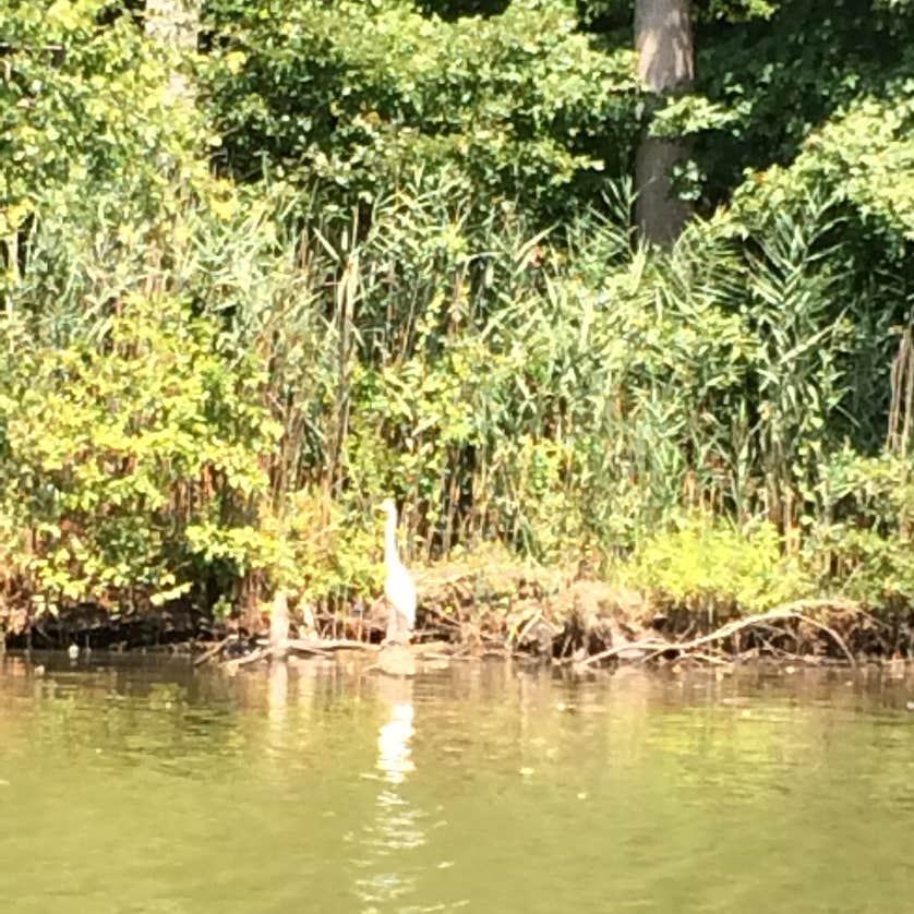 Lums Pond State Park Camping | The Dyrt