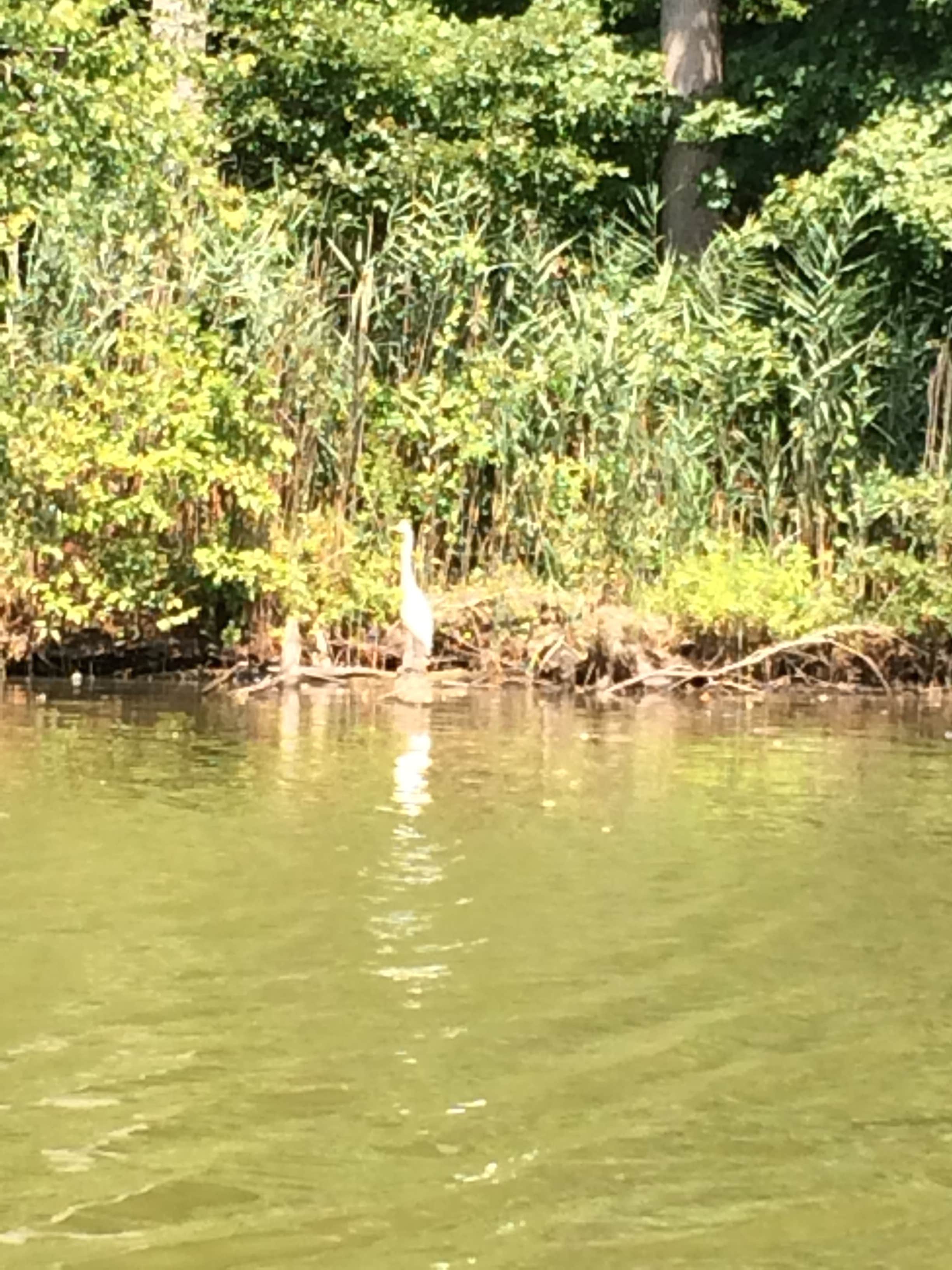 Lums Pond State Park Campground | Kirkwood, Delaware