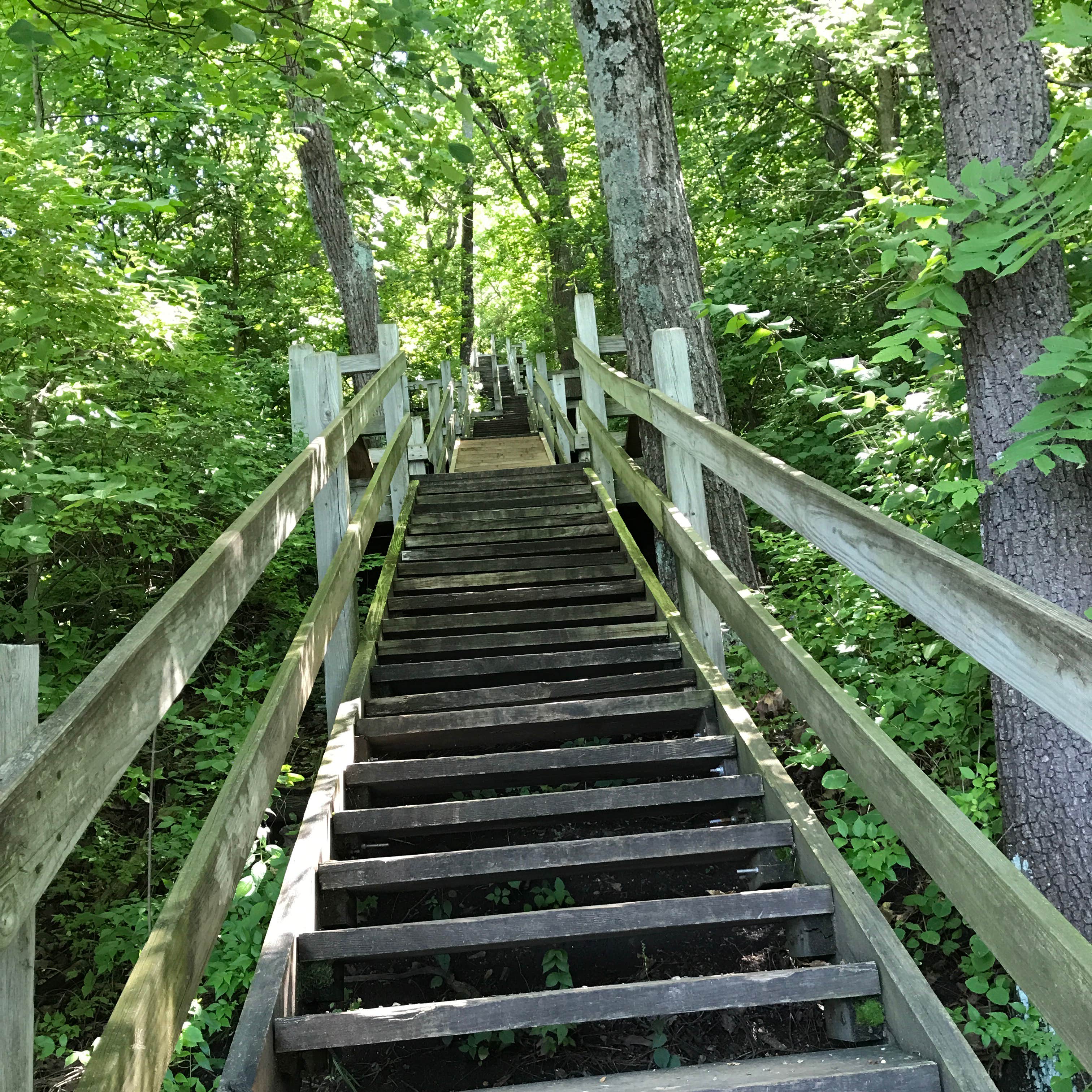 Lowden Memorial State Park Camping | The Dyrt