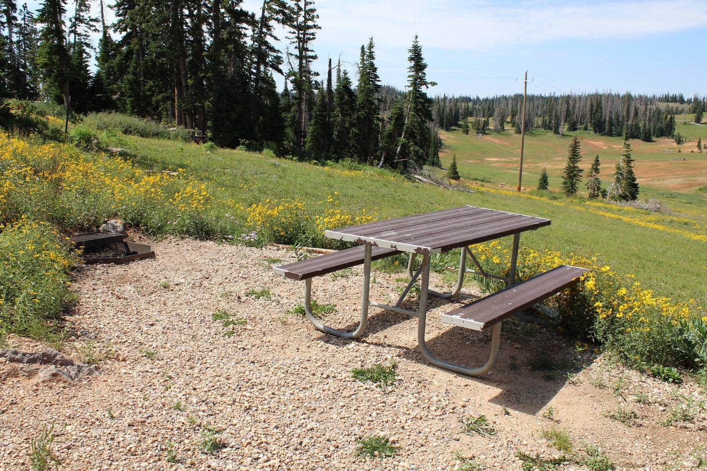 Point Supreme Campground — Cedar Breaks National Monument | Brian Head, UT