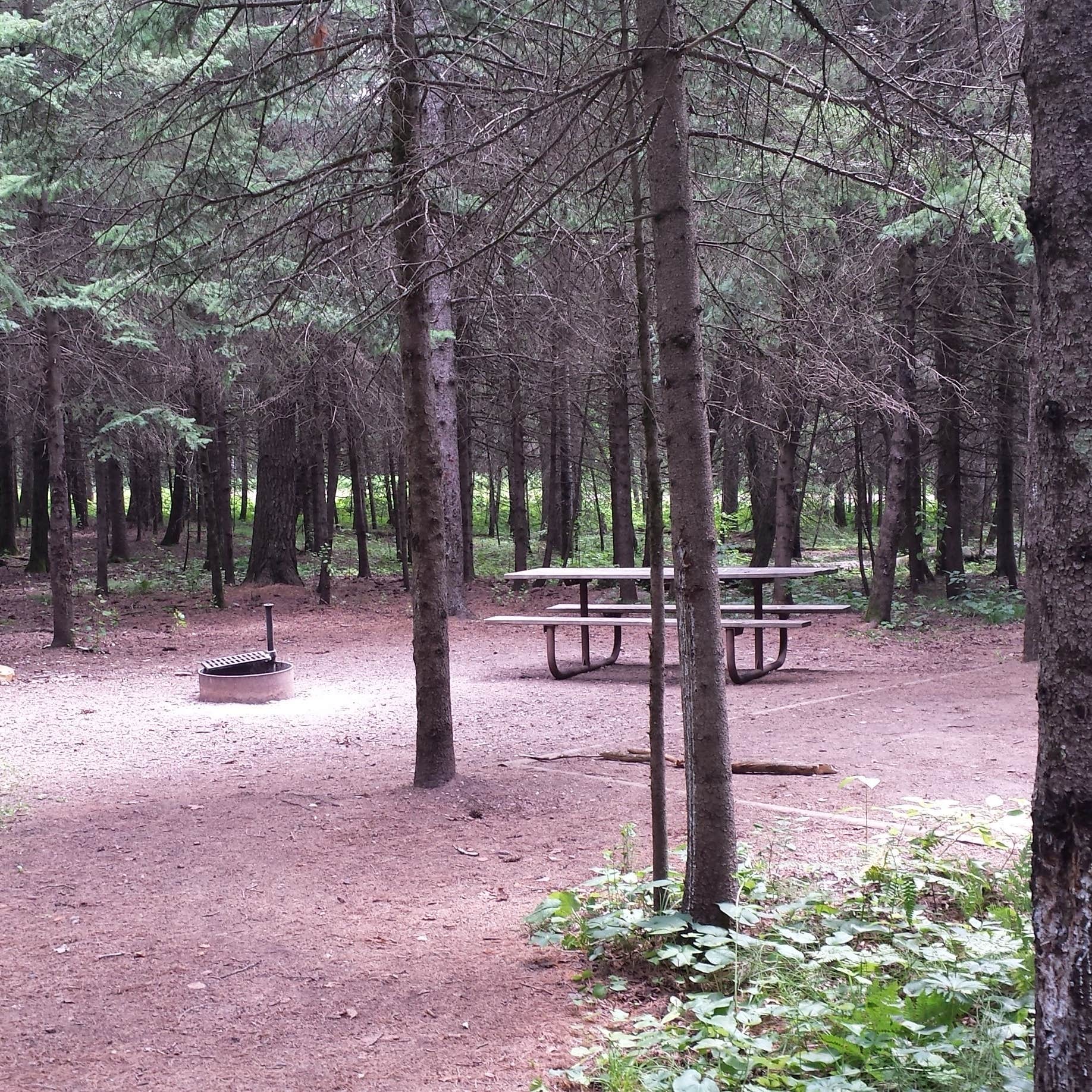 Jay Cooke Camping | The Dyrt