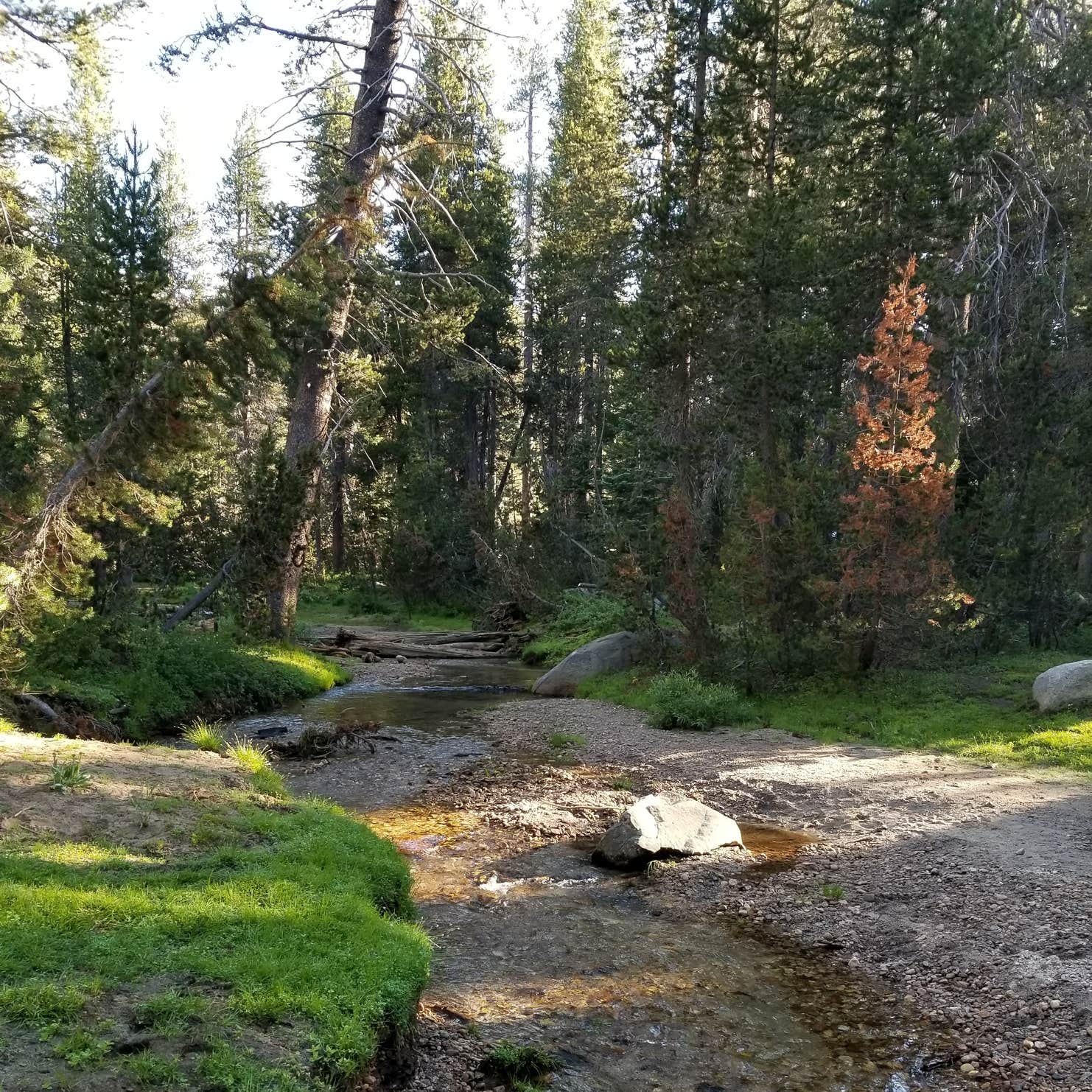 Badger Flats Group Camping | Lakeshore, California