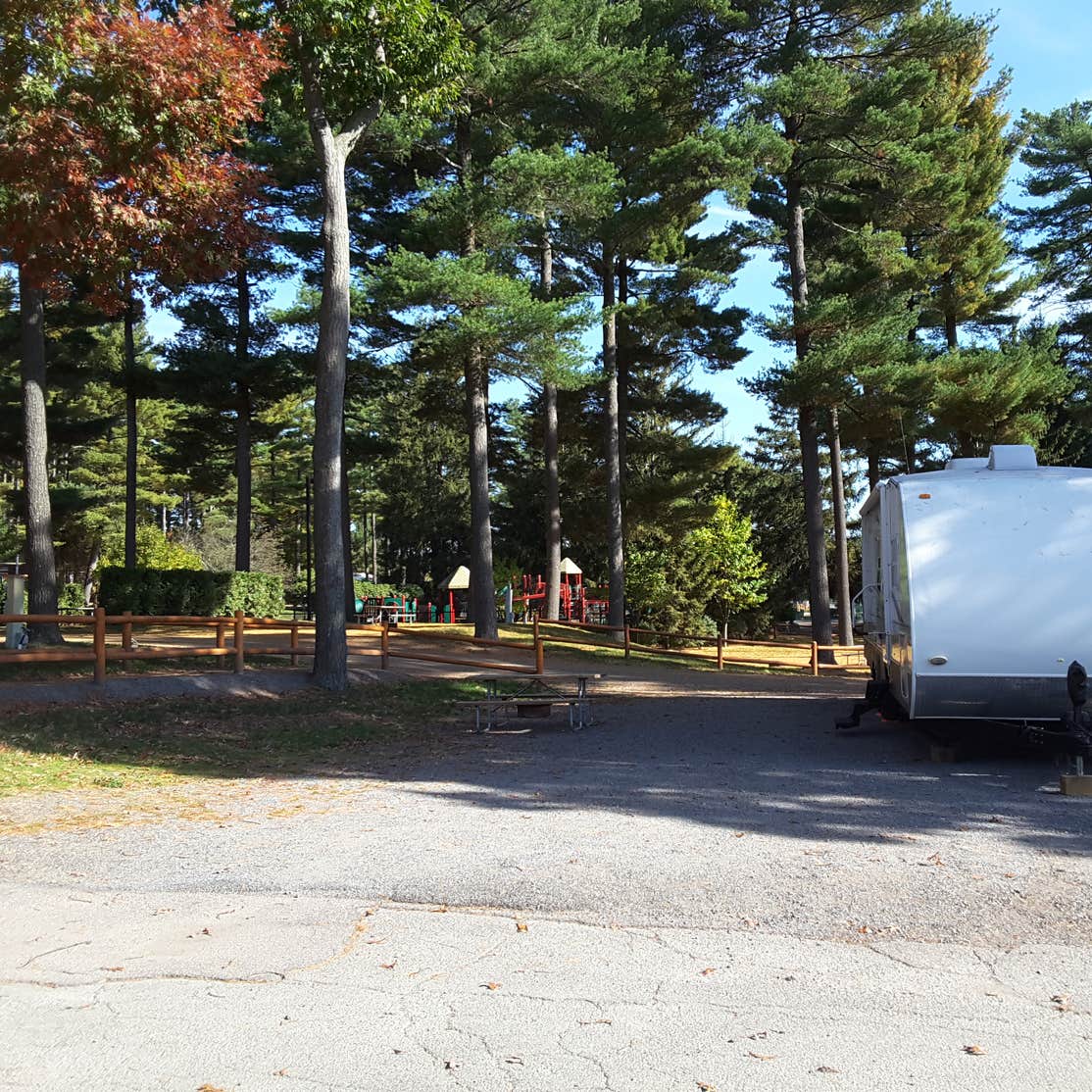 Normandy Farms Campground Camping | The Dyrt