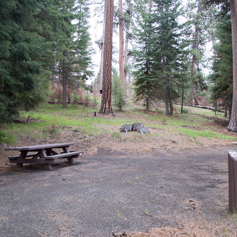Escape To Ochoco Divide: Your Oregon Adventure Awaits!