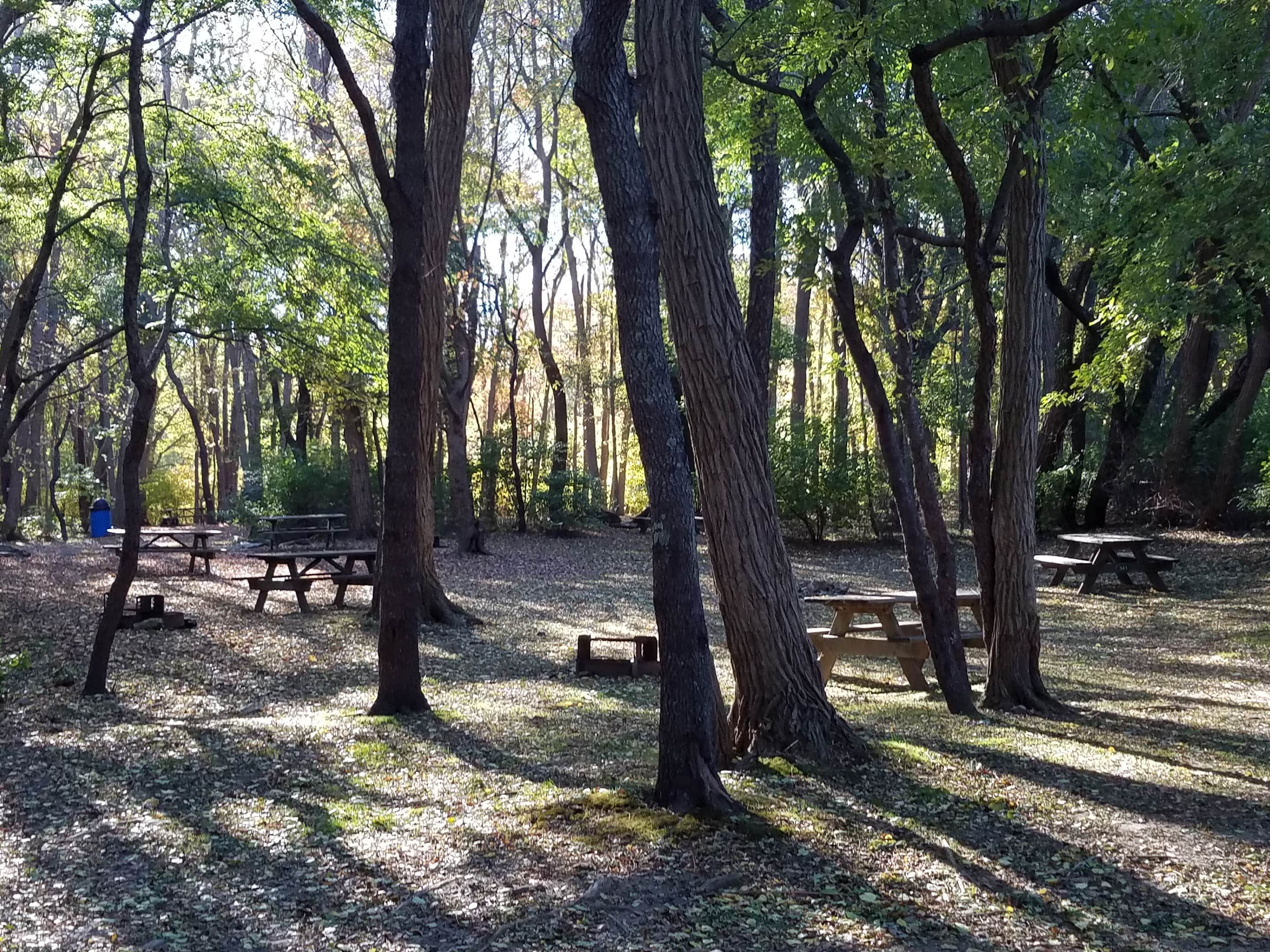 Newport RV Park | Portsmouth, RI