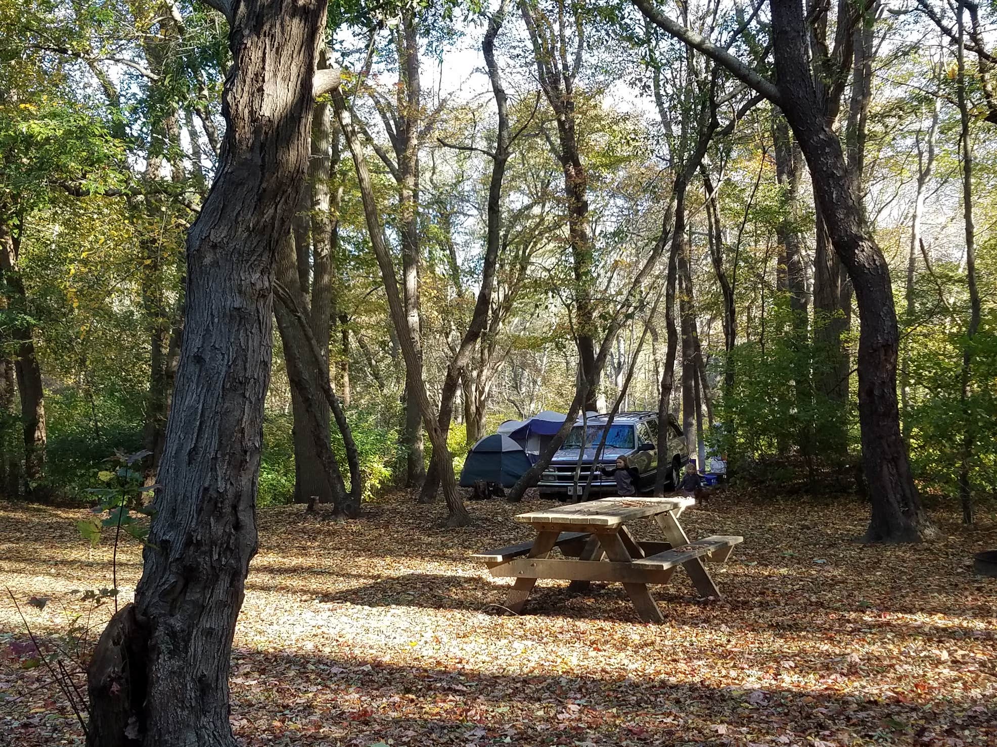 Melville Ponds Campground Camping | The Dyrt
