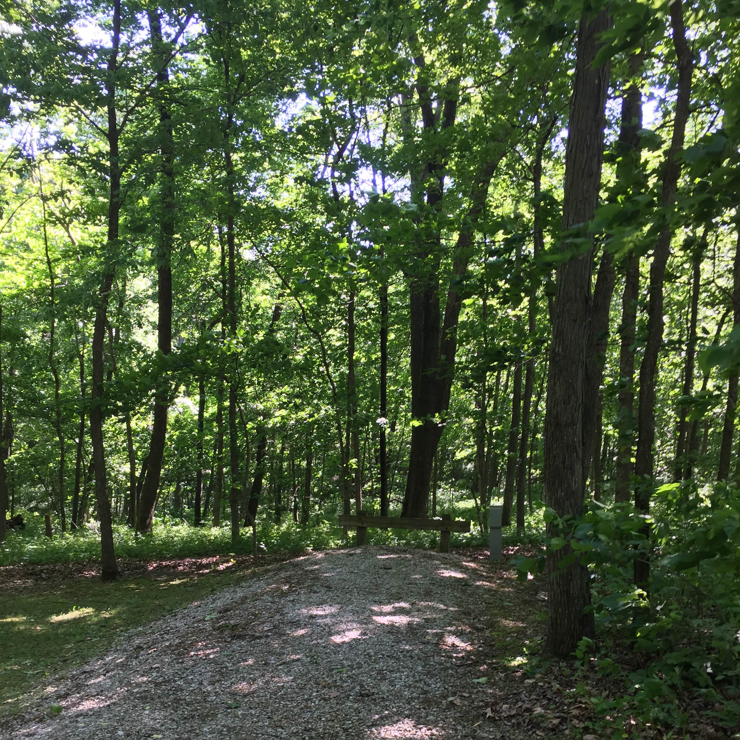 Battle of Athens State Park Campground | Farmington, Iowa