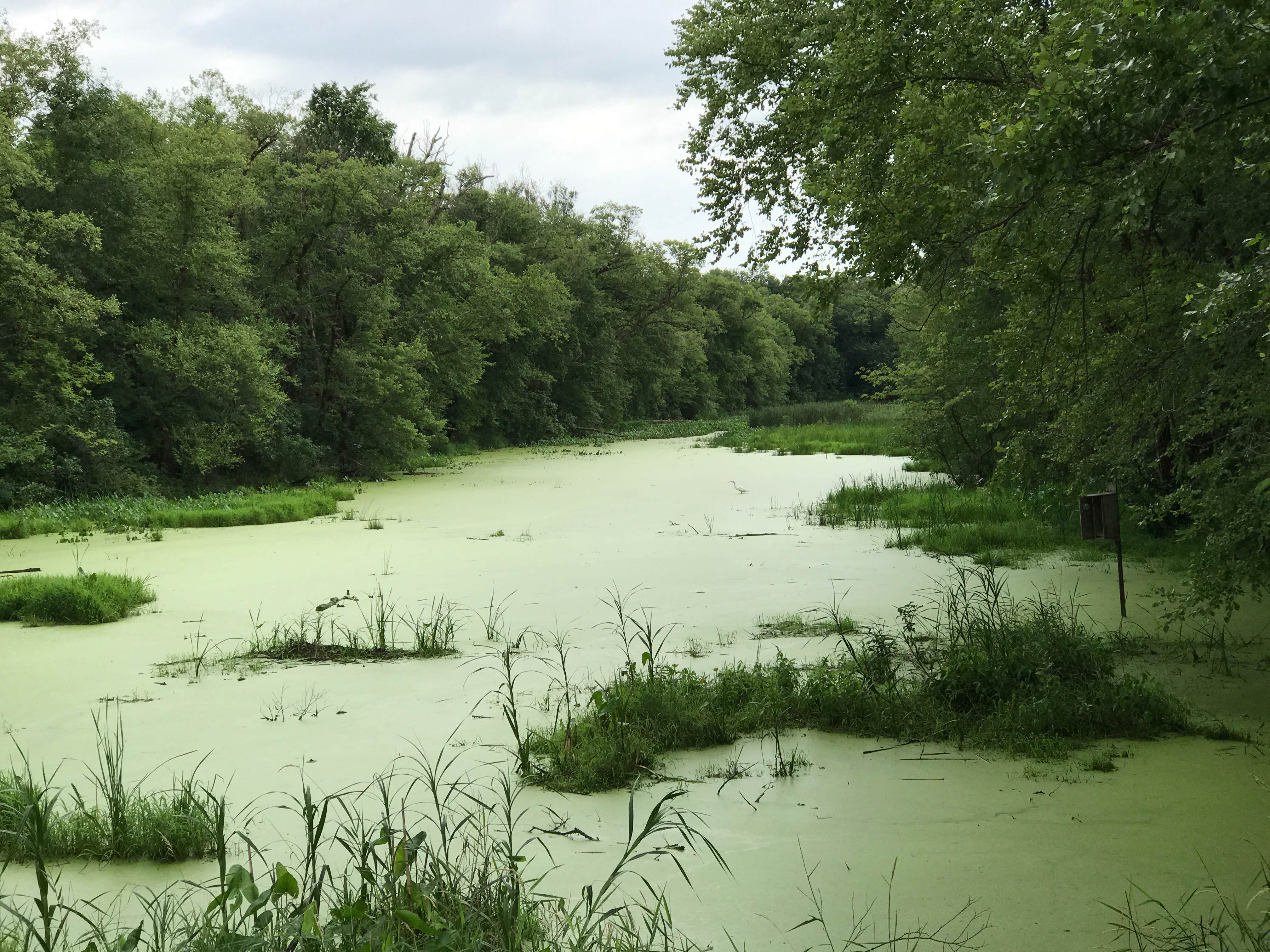 Thomson Causeway Camping | Thomson, Illinois