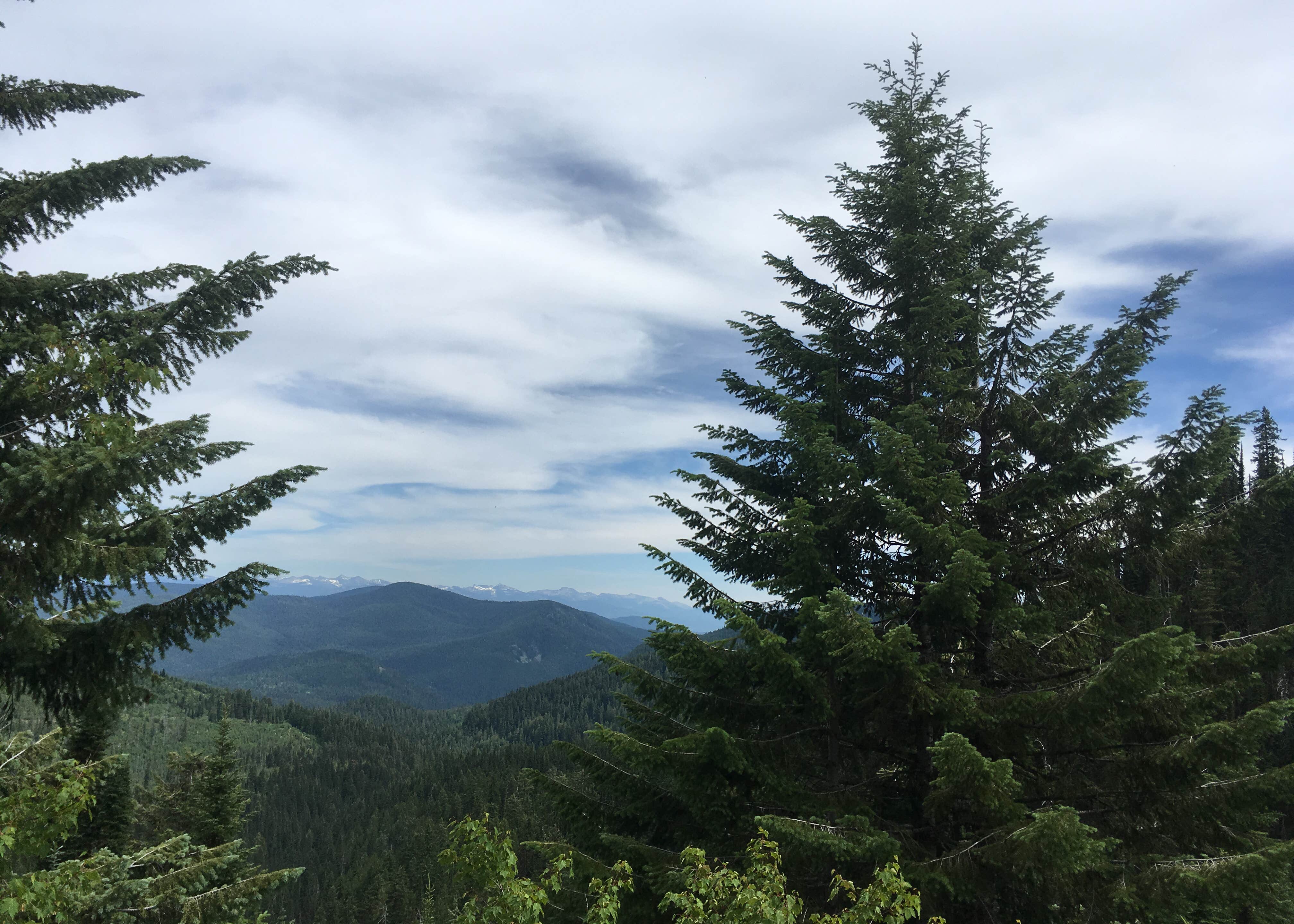 Sullivan Lake Campground Camping | The Dyrt