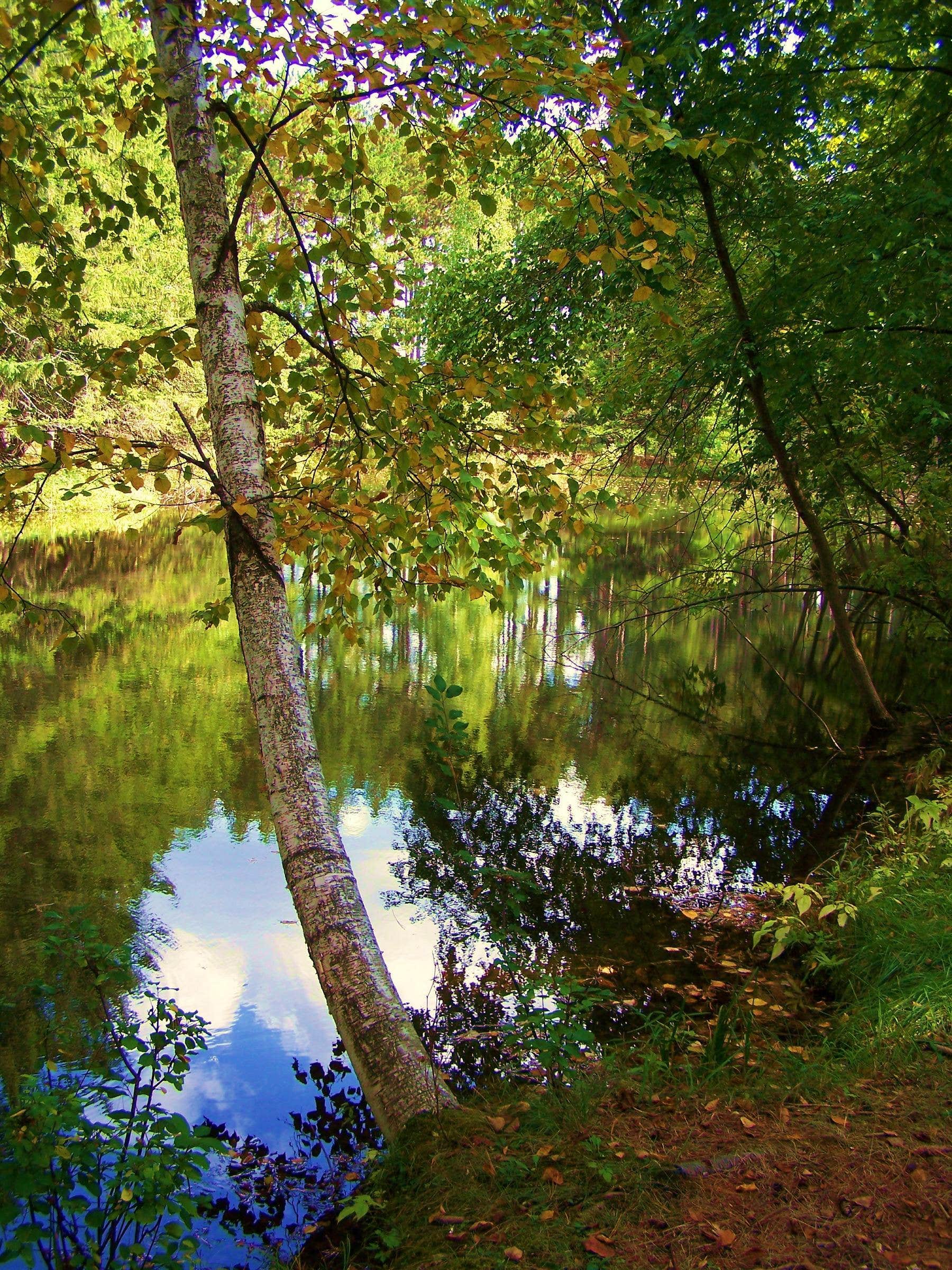 Hartman Creek State Park Campground Waupaca Wi
