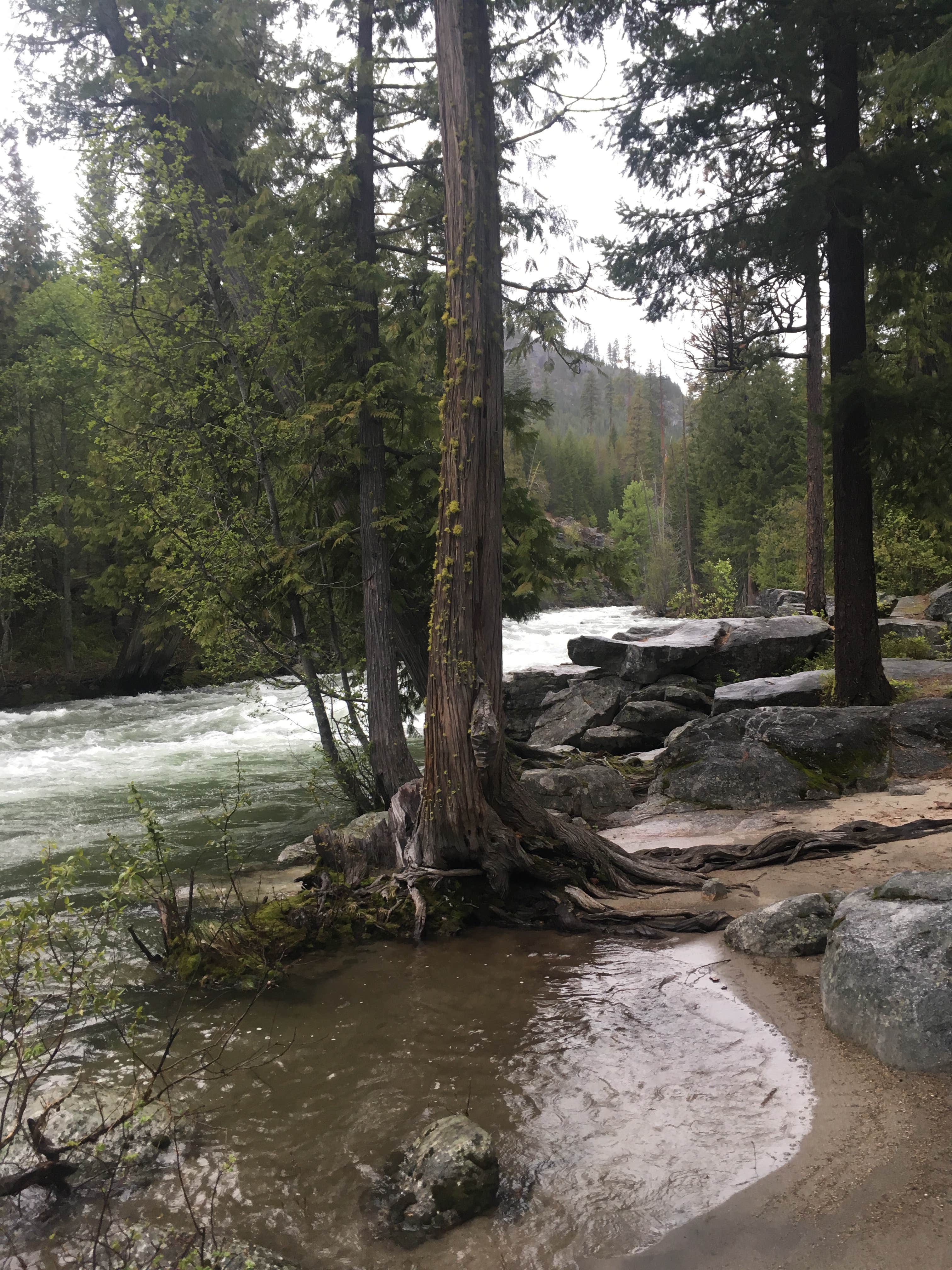 Fox Creek Campground | Entiat, WA