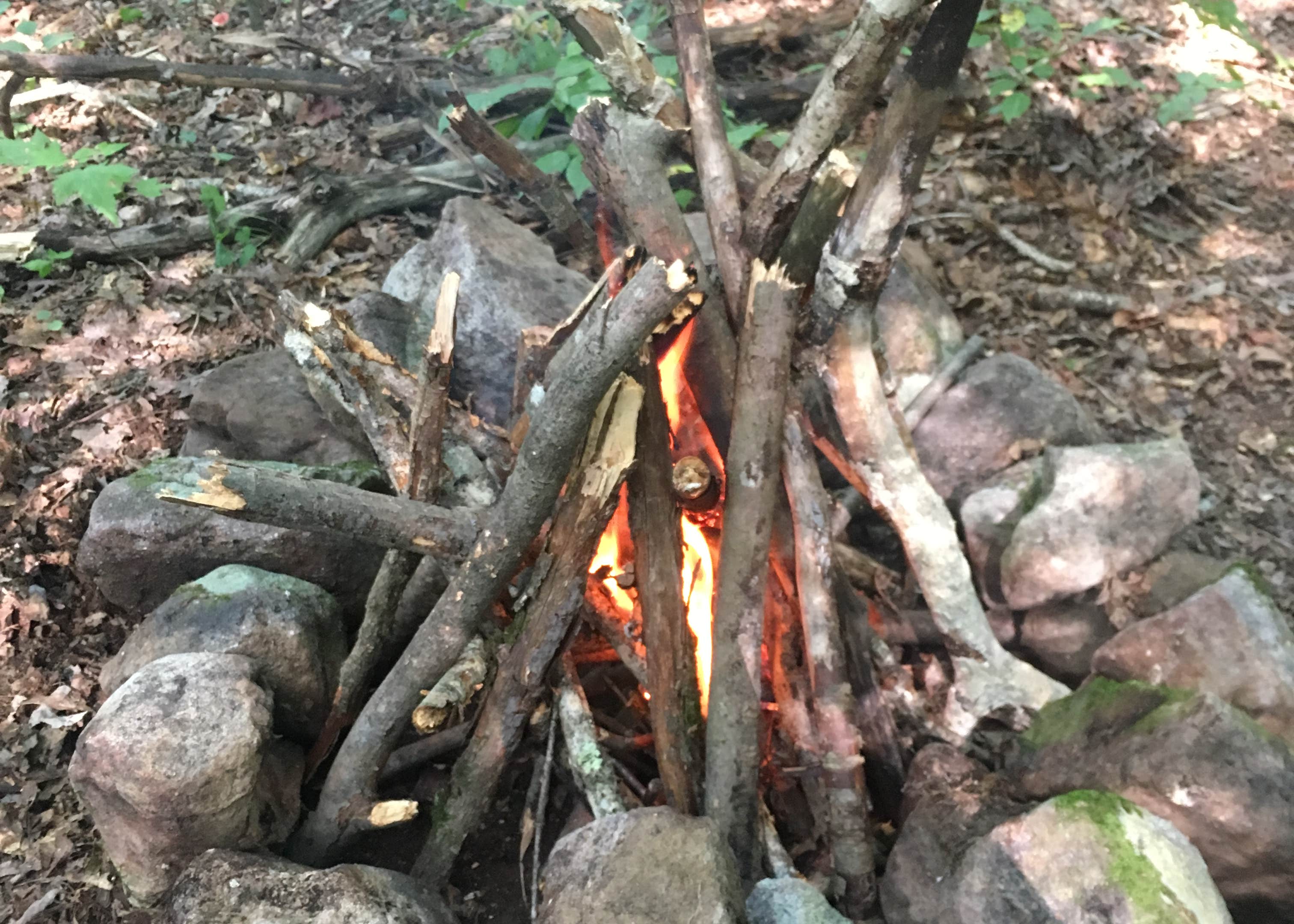 Elizabeth Furnace Family Campground Camping | The Dyrt