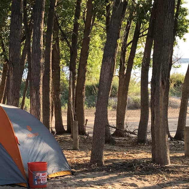 Sandy Beach Dune and Willow — Glendo State Park Camping | Glendo, WY