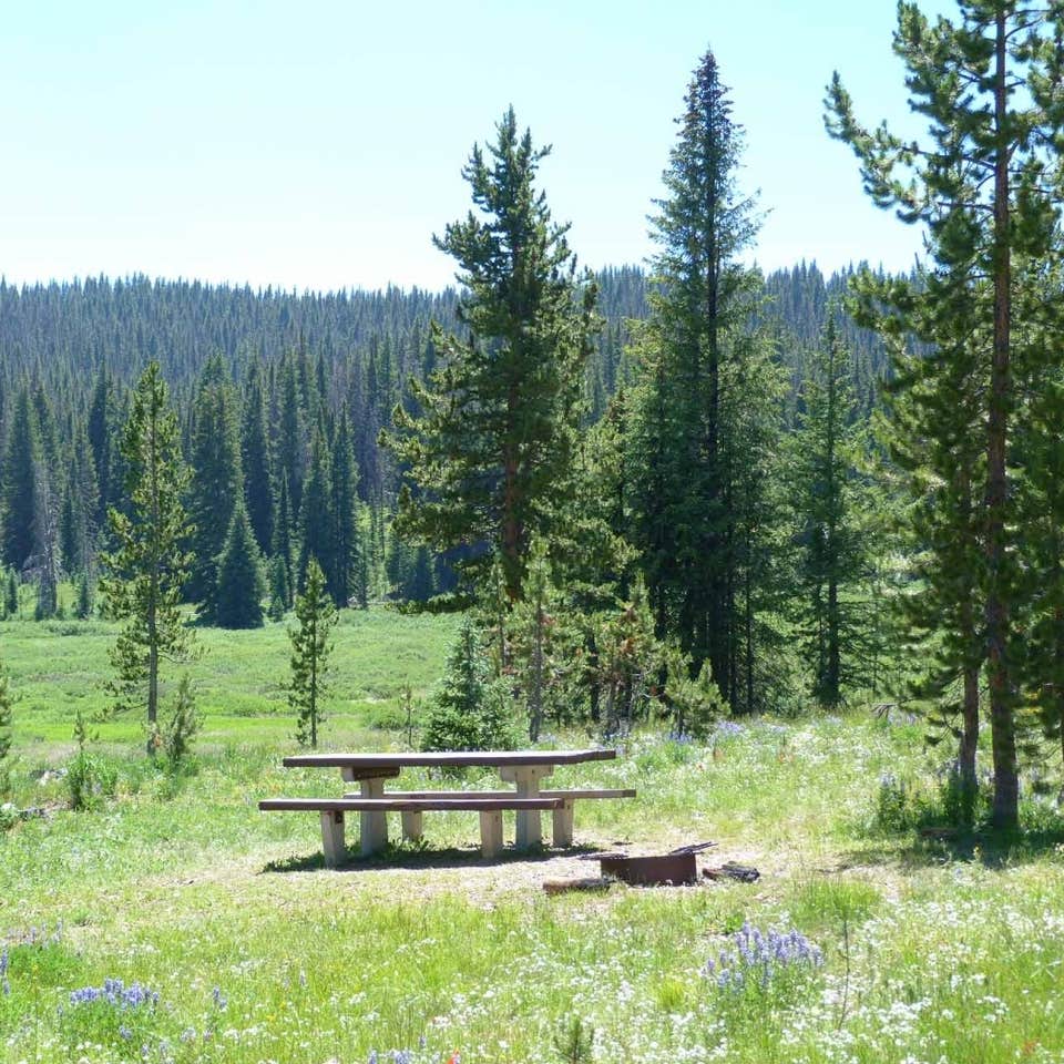 Meadows Campground Camping | The Dyrt