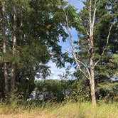 McCollum Lake State Forest Campground | Curran, MI