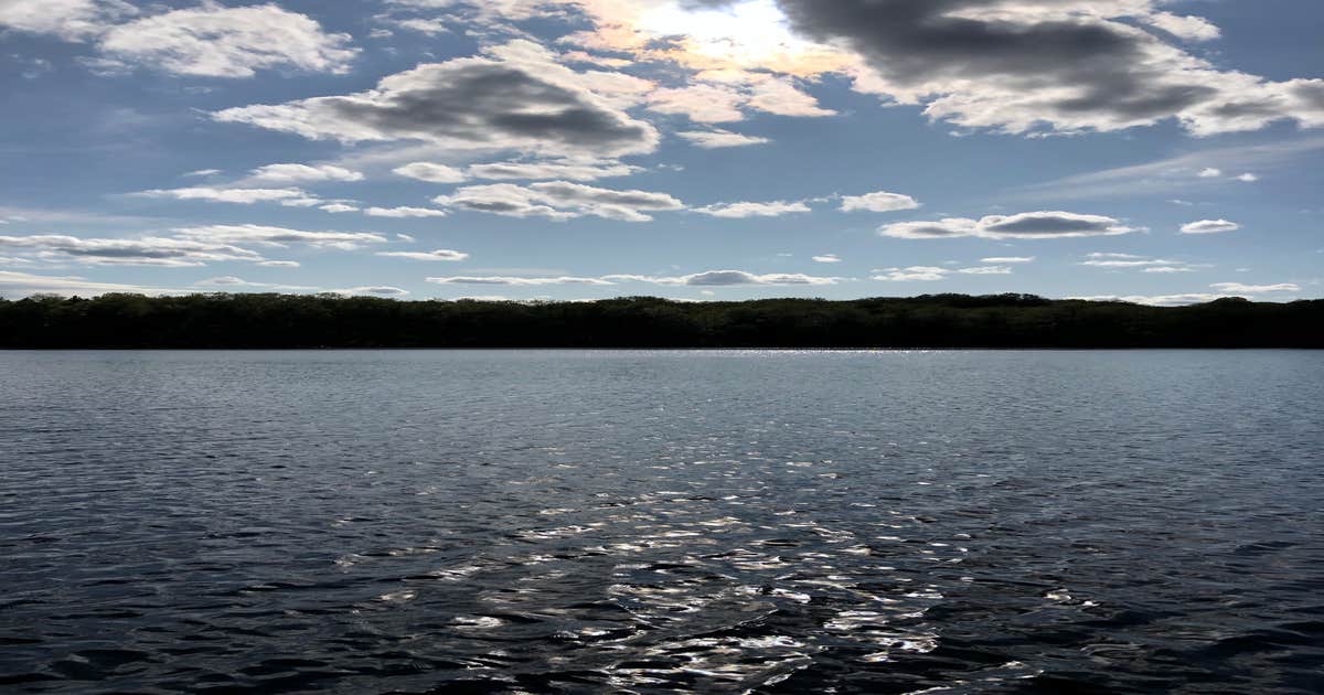 McCollum Lake State Forest Campground | Curran, MI