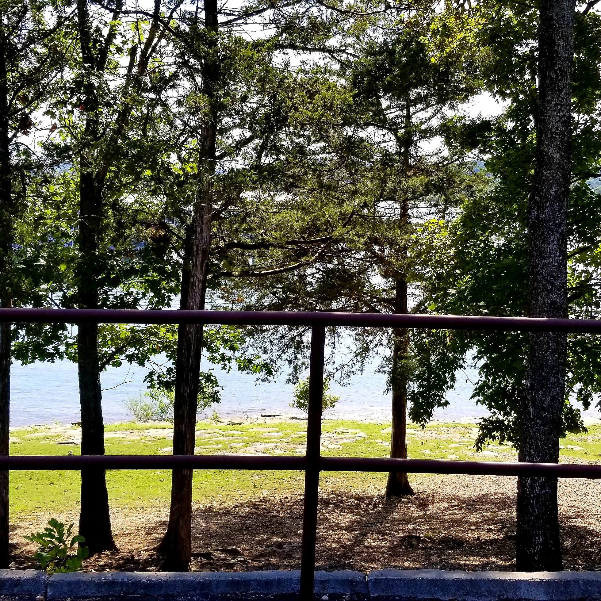 Indian Point Camping | The Dyrt