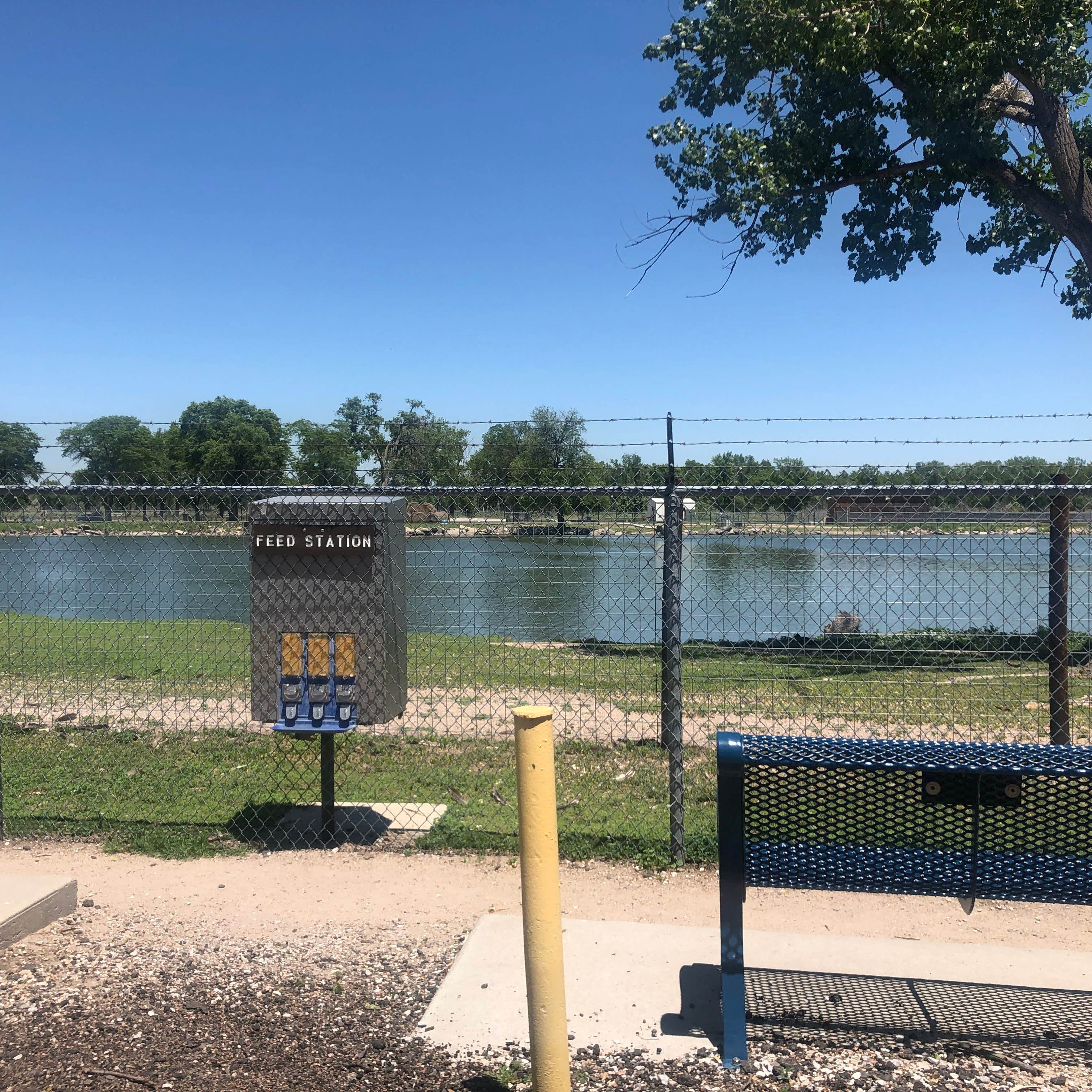 Cody City Park Campground Camping | The Dyrt