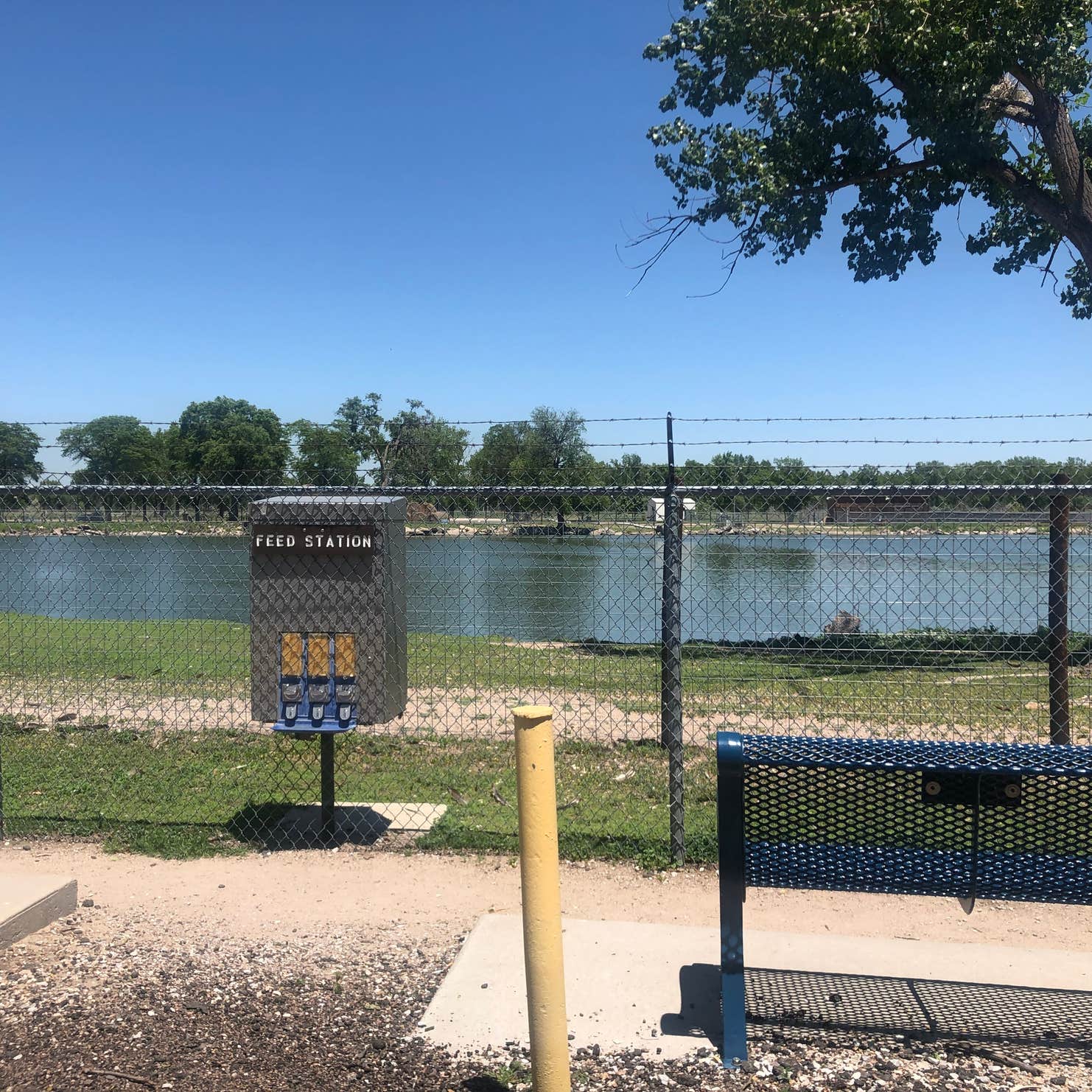 Cody City Park Campground Camping | The Dyrt