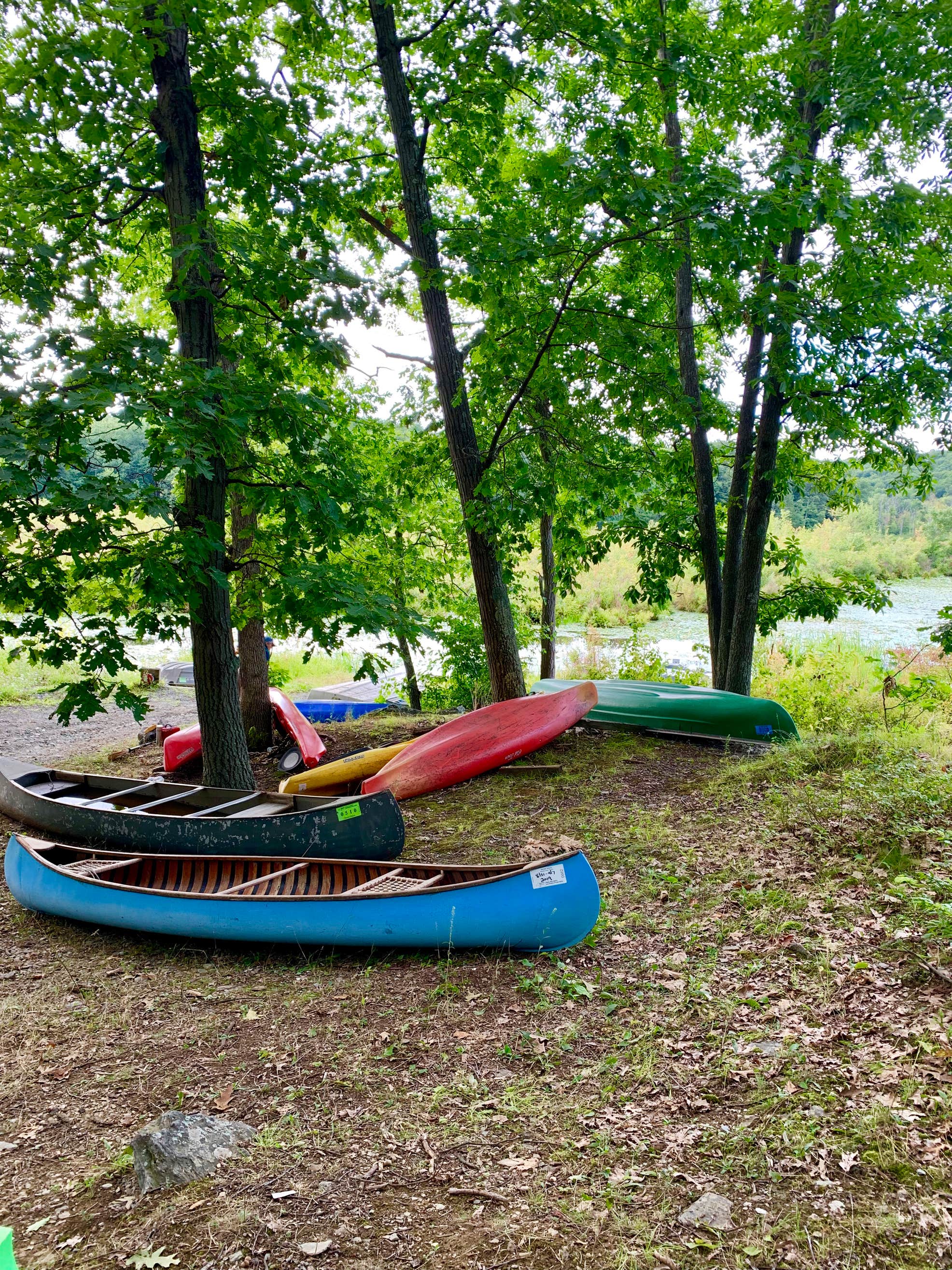 Lake Taghkanic | The Dyrt