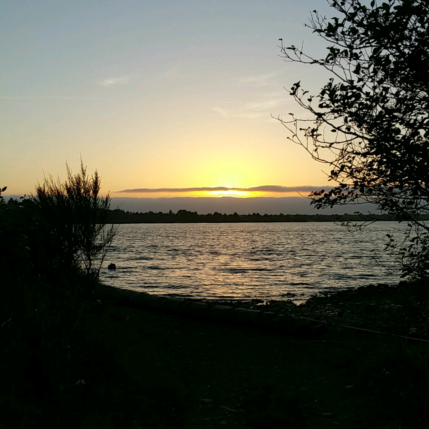 Kelly's Brighton Marina Camping | Wheeler, Oregon