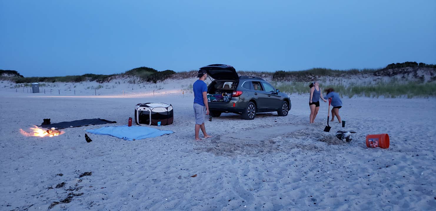 Sandy Neck Beach Park Primitive Campsites | The Dyrt