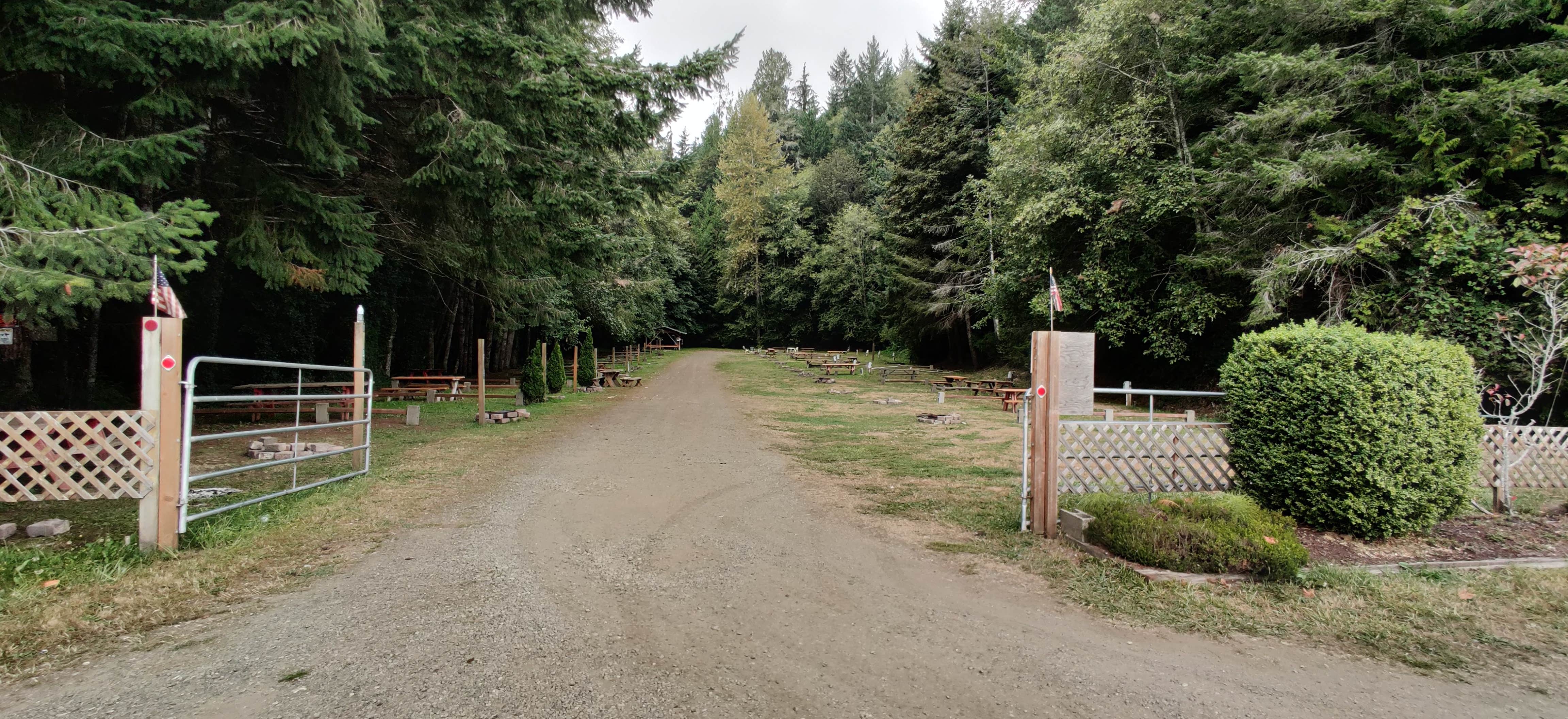 Mike's Beach Resort Camping | Brinnon, Washington