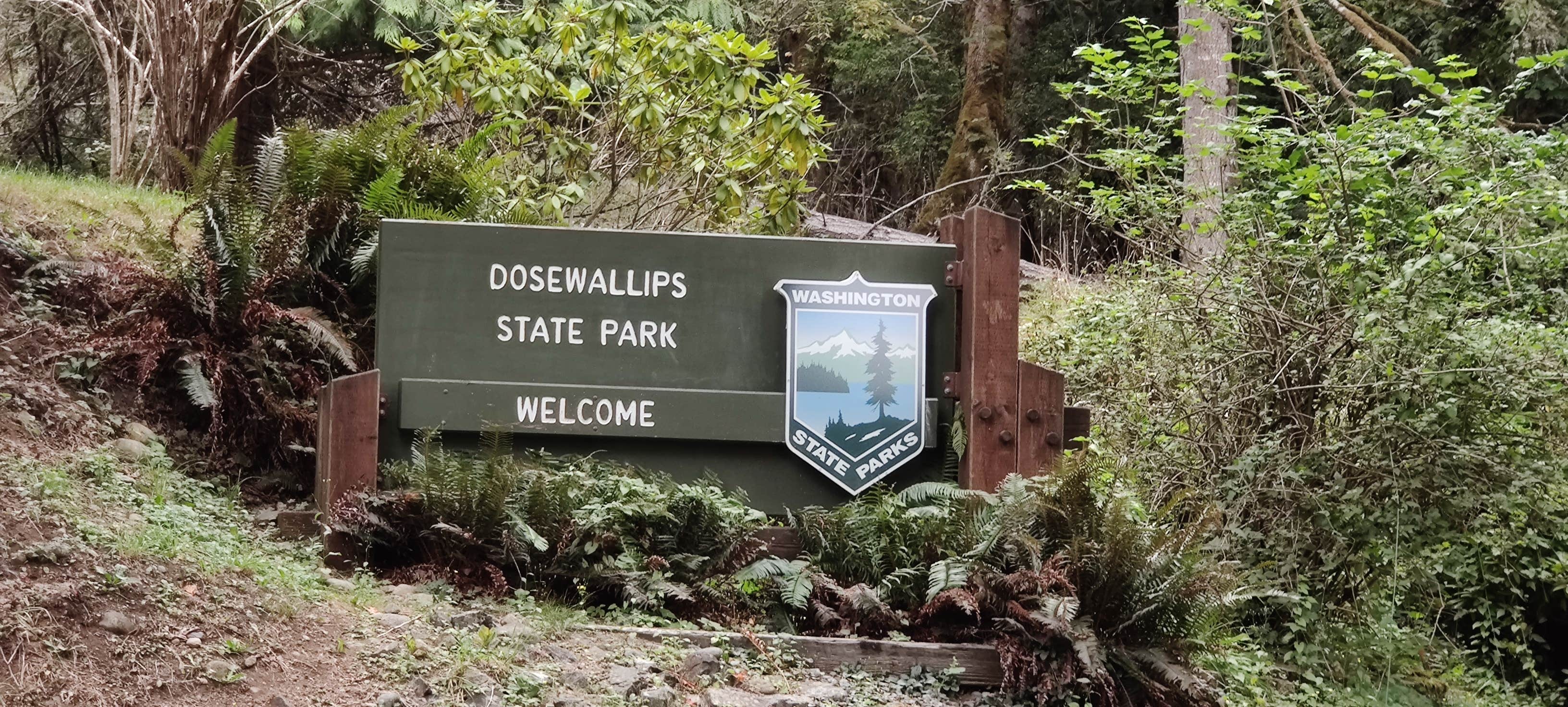 Dosewallips State Park Campground | Brinnon, Washington
