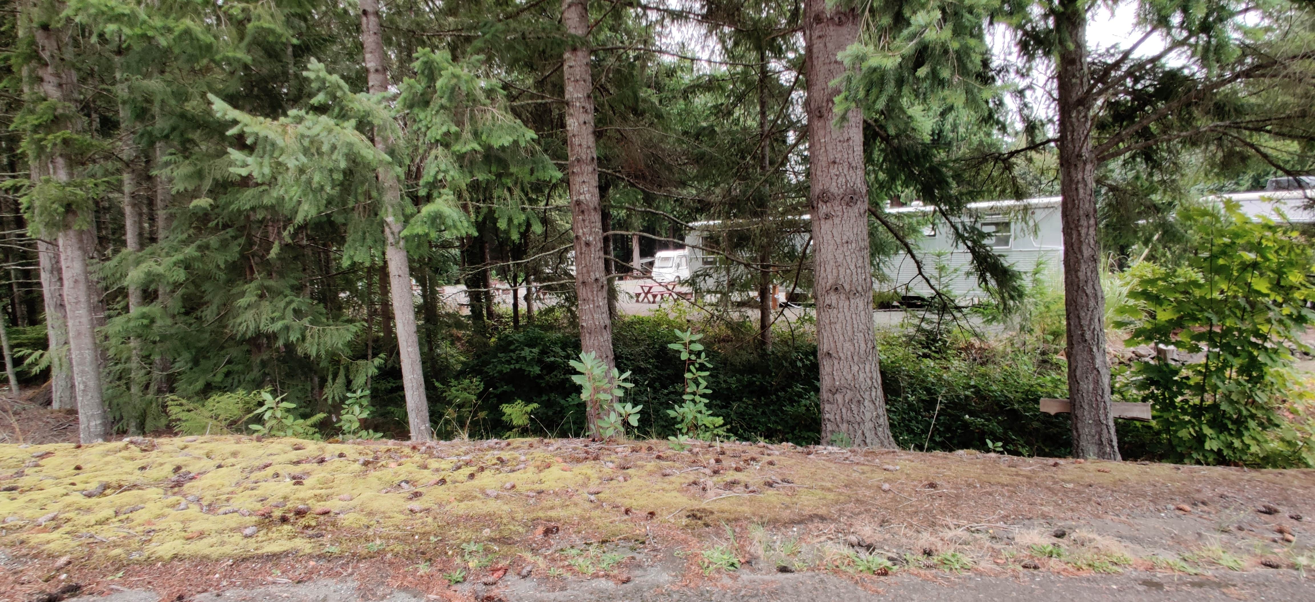 Cove RV Park & Country Store | Brinnon, WA