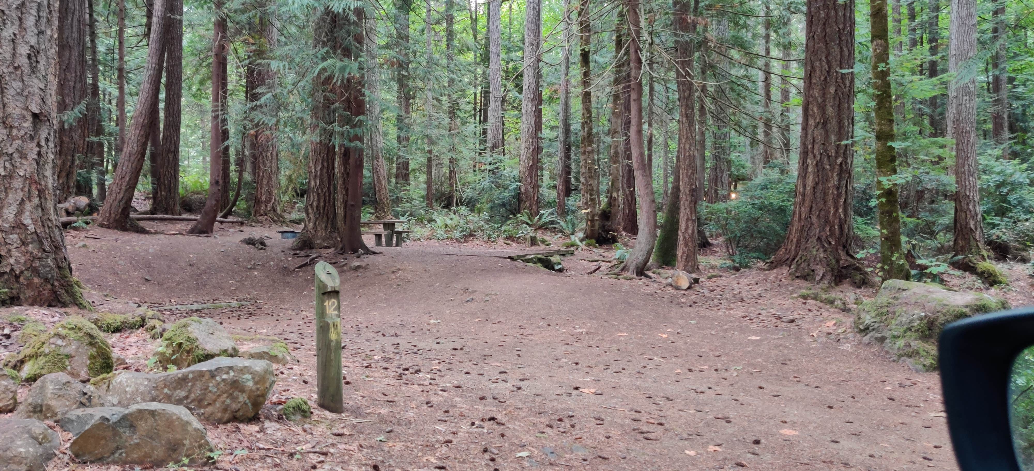 Seal Rock Campground | The Dyrt