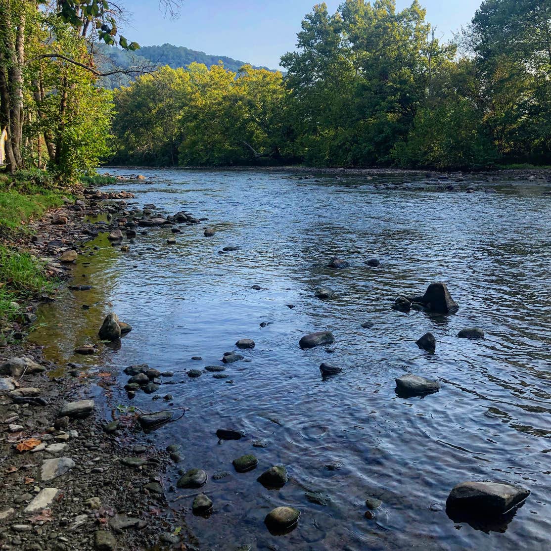 Riverside Campground | Abingdon, VA