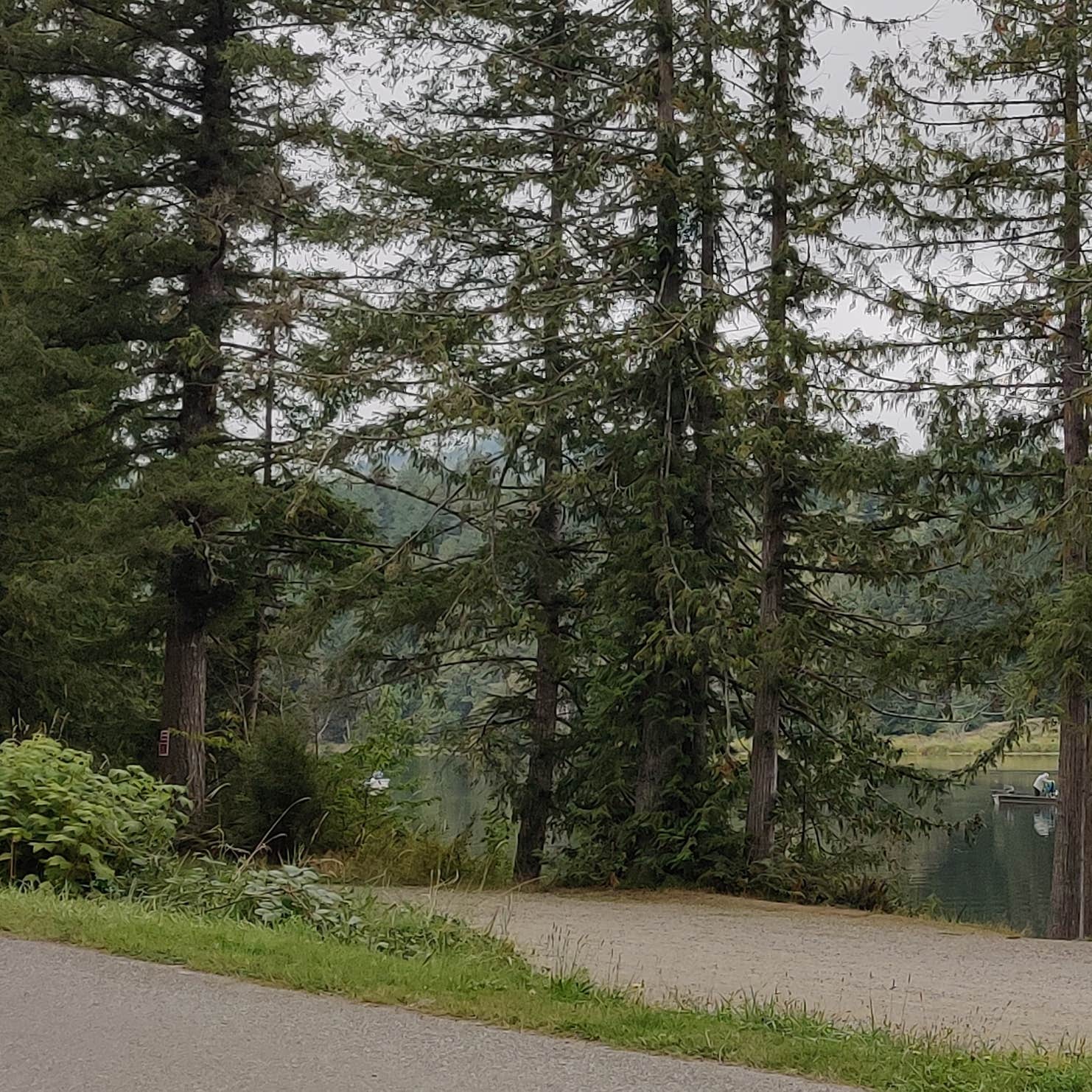 Lake Leland Campground Camping | The Dyrt