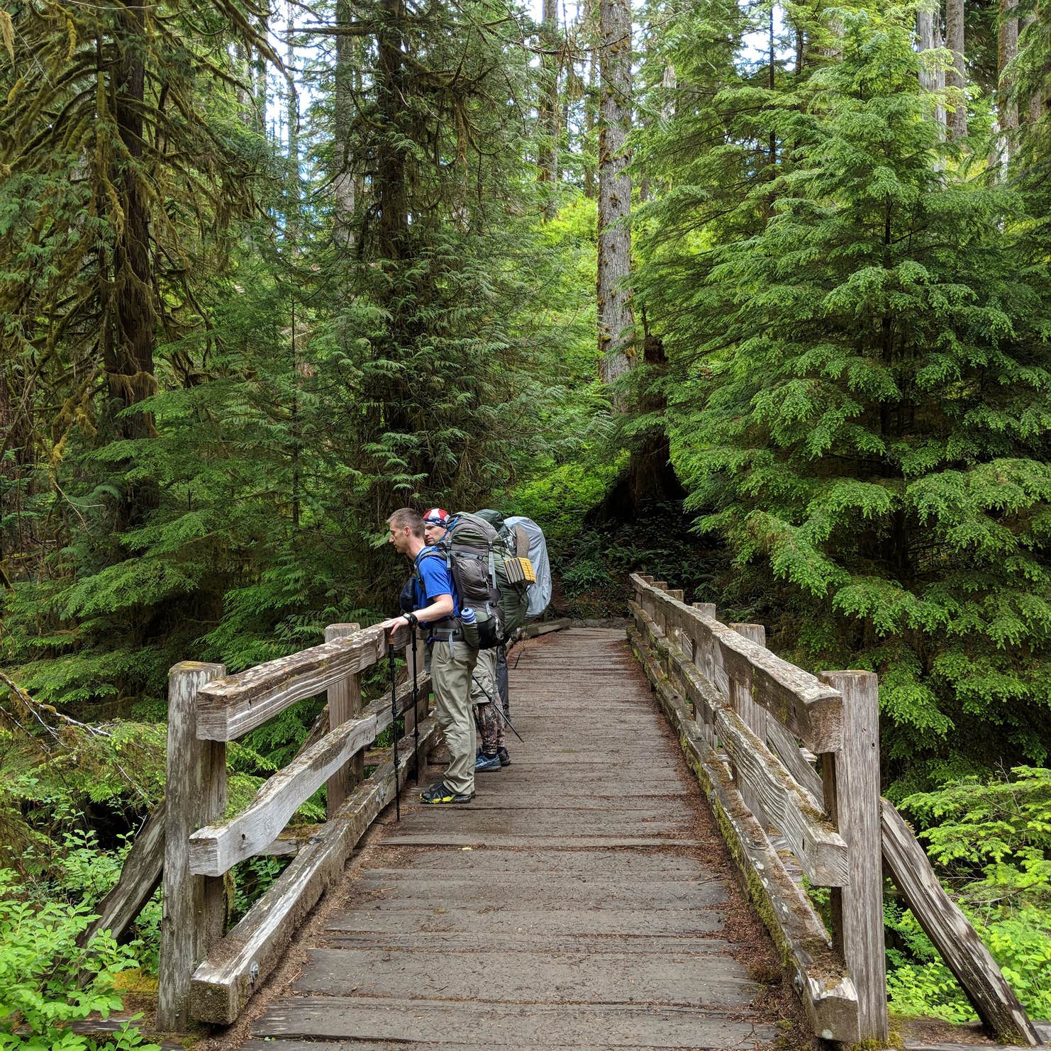 Pony Bridge Camping | The Dyrt