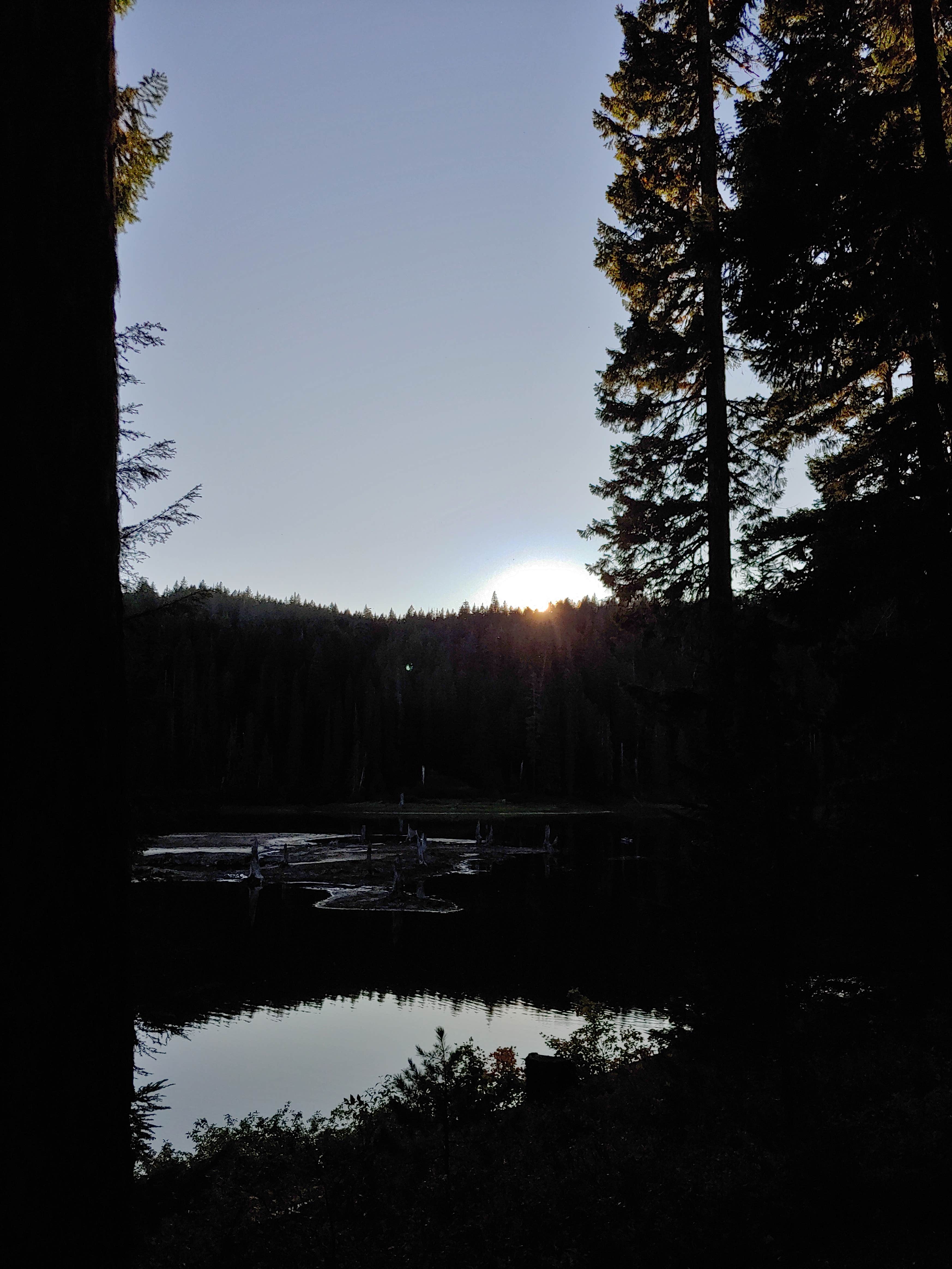 Goose Lake Campground | Trout Lake, Washington
