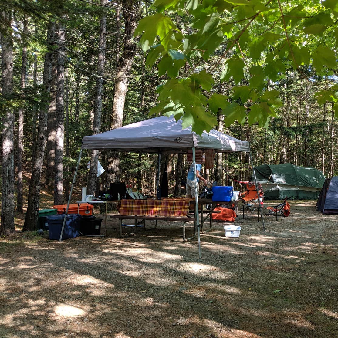 Barnes Field Campground | Randolph, NH