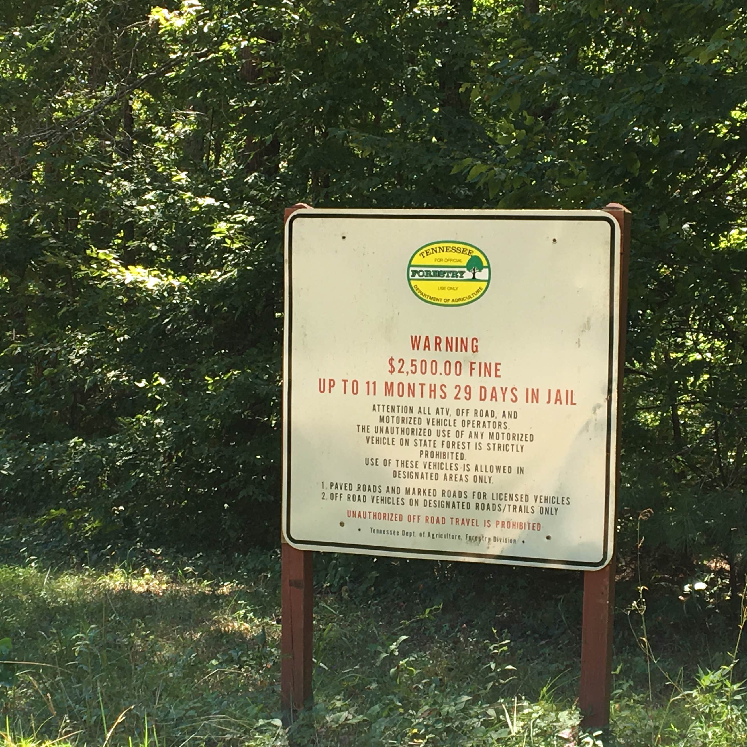 Stewart State Forest Camping | The Dyrt