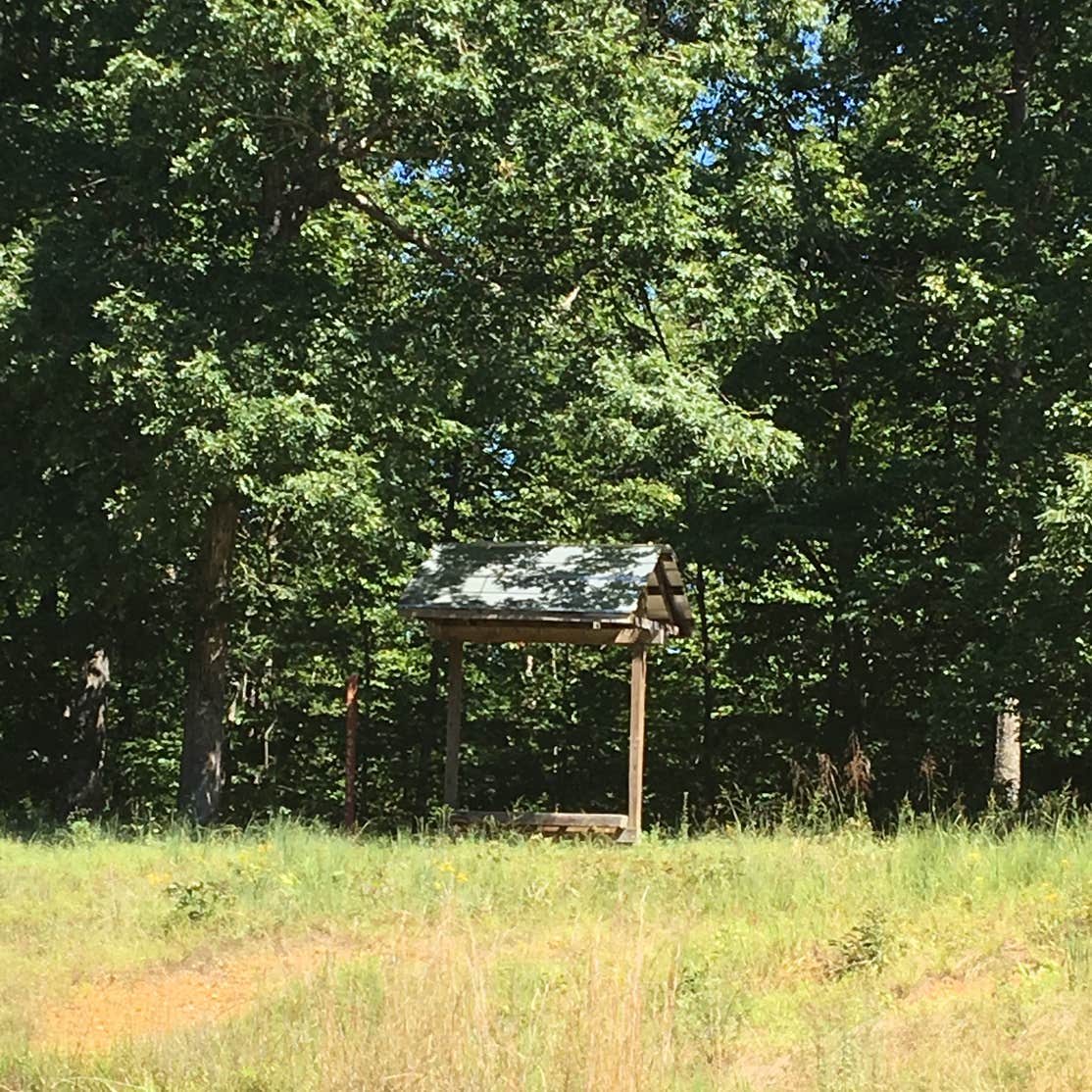 Stewart State Forest Camping | Tennessee Ridge, Tennessee