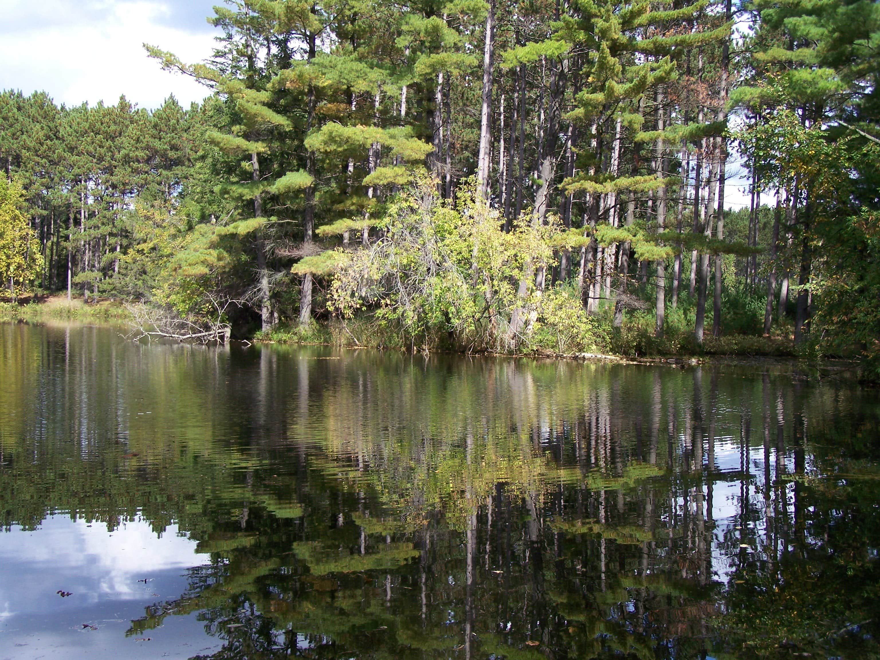 Hartman Creek State Park Campground | King, Wisconsin