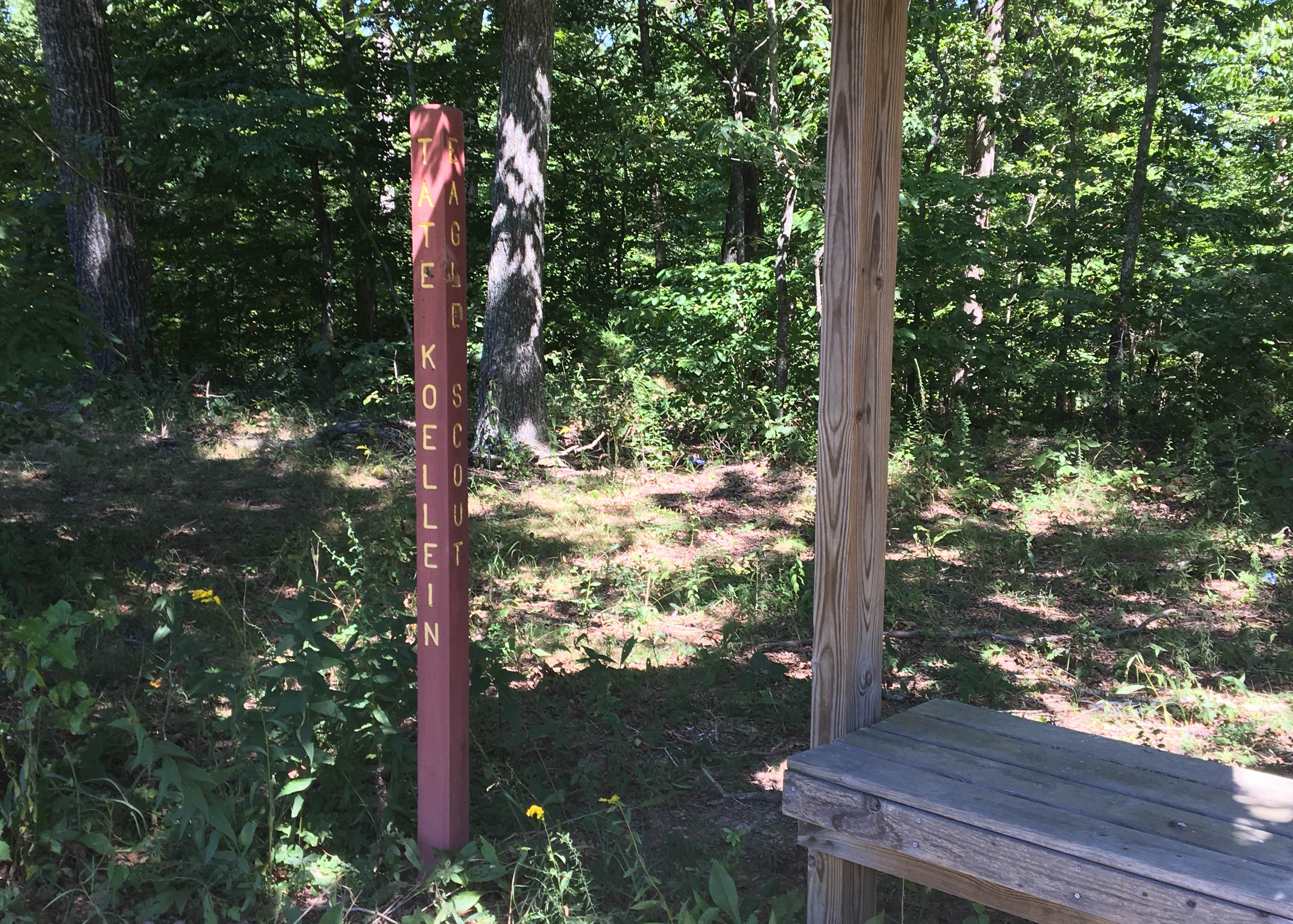 Stewart State Forest Camping | The Dyrt