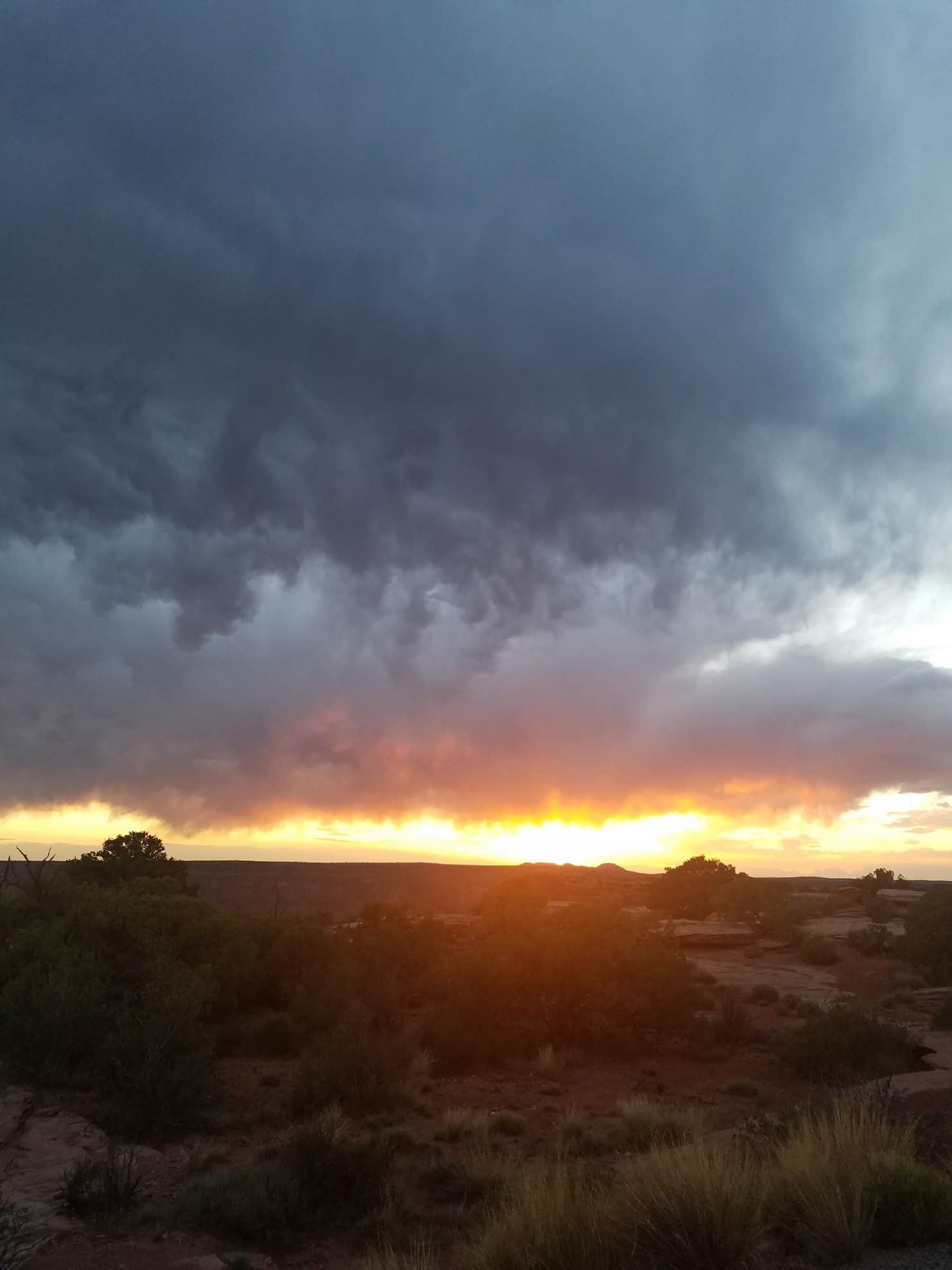 Kayenta Campground Camping | The Dyrt